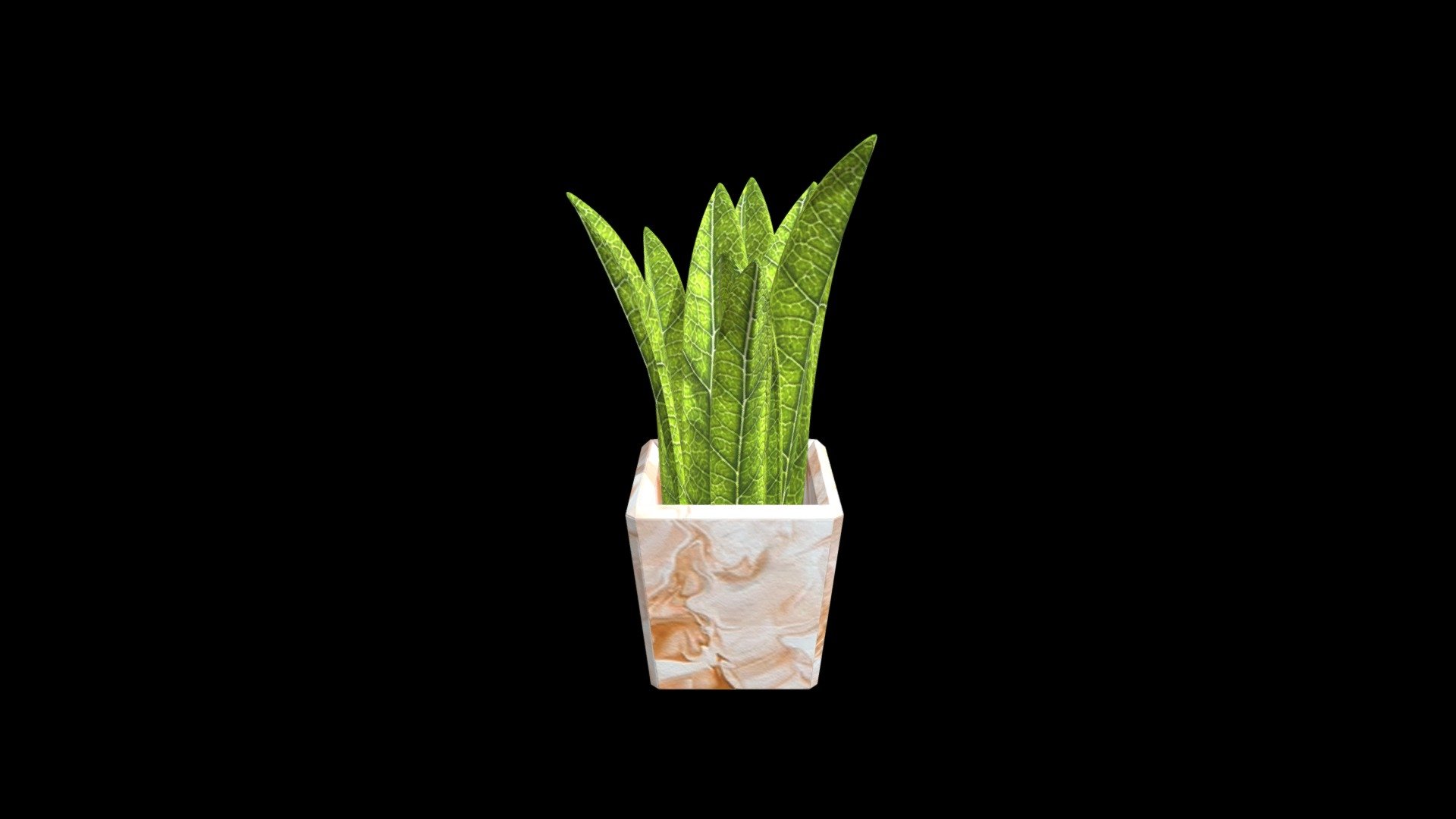 plant texture - 3D model by CarmendeBruijn [60618ad] - Sketchfab