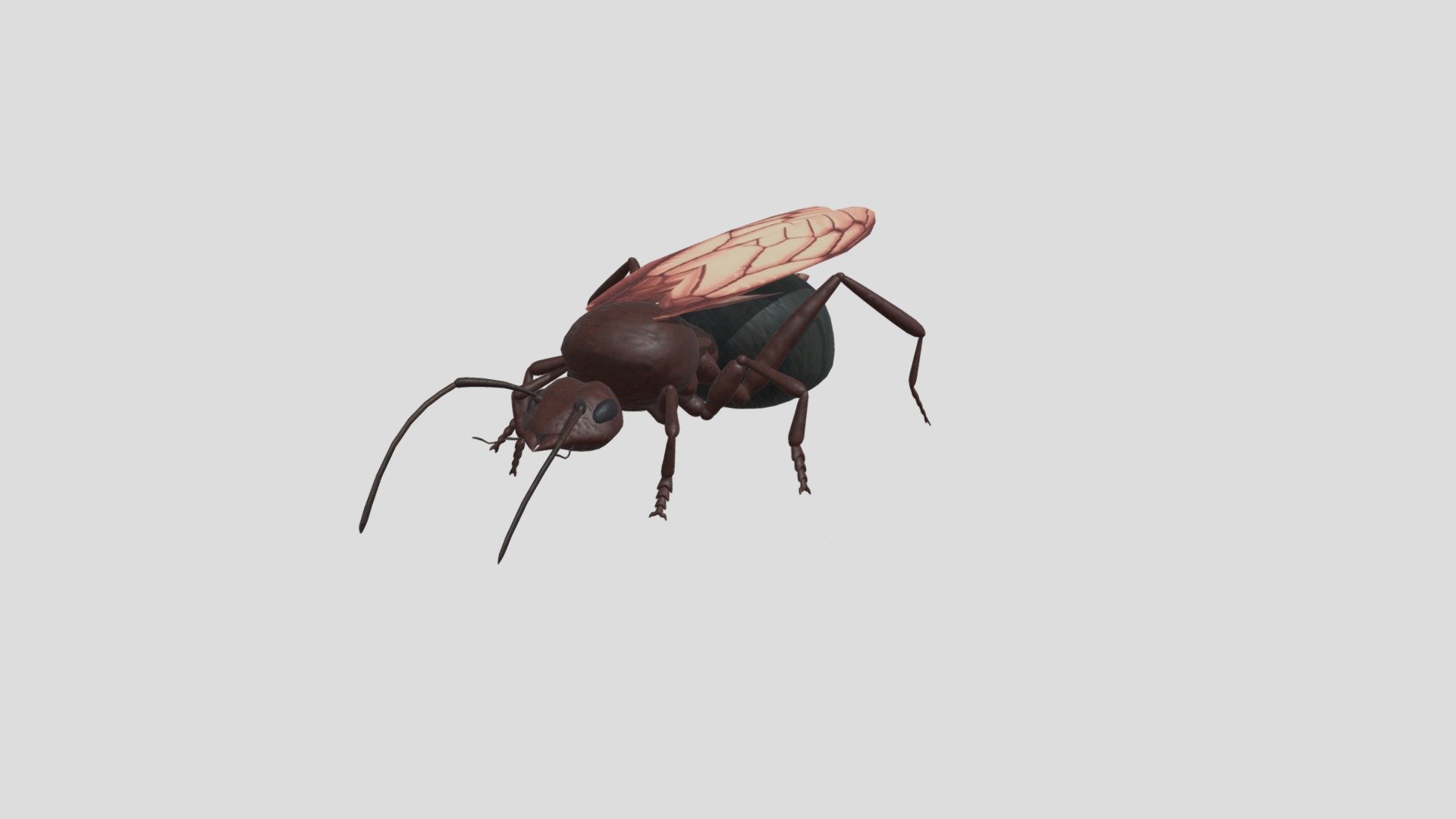 Queen Ant - 3D model by JorgeAguilera [6070592] - Sketchfab