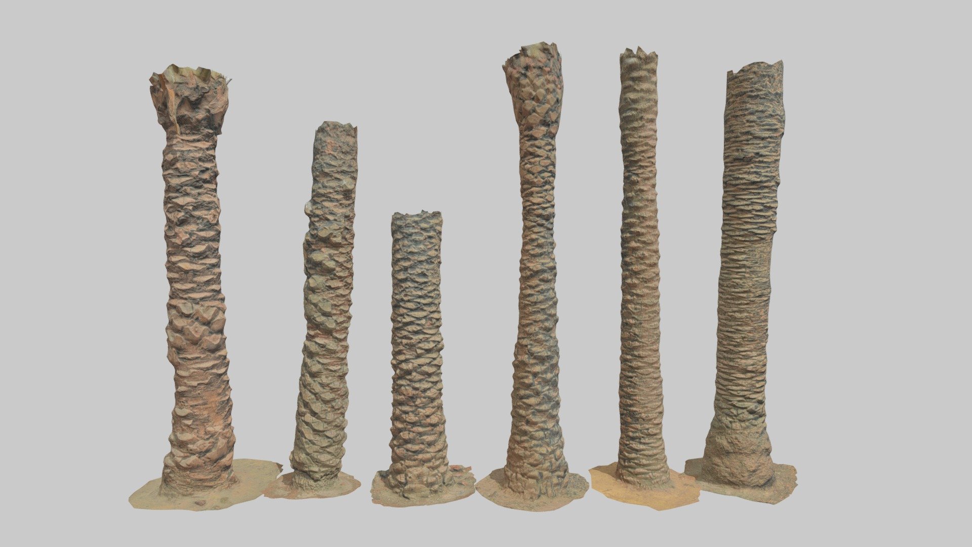PBR Palm Tree Collection Scan Pack - Buy Royalty Free 3D model by Pers ...