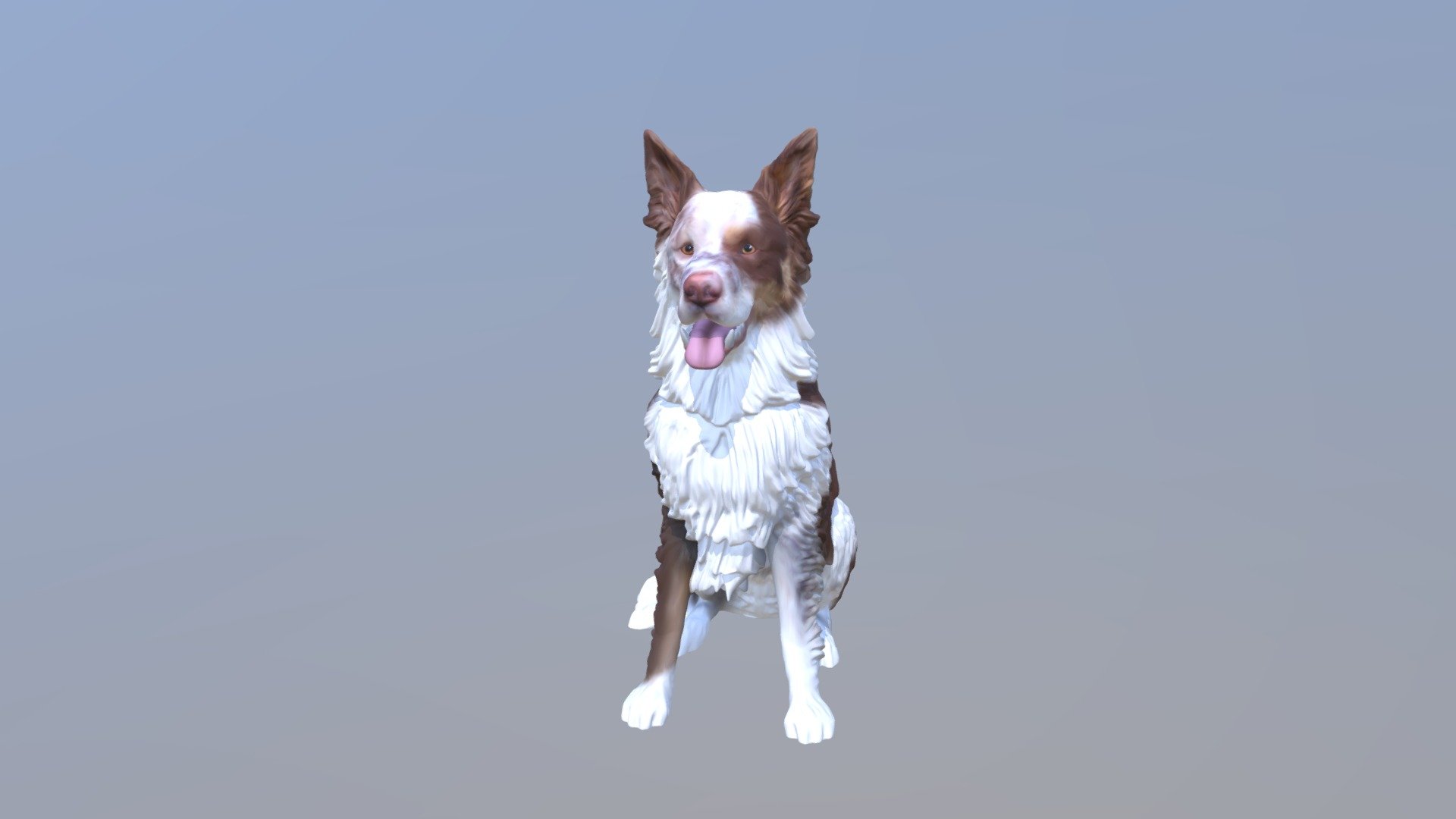 1809018-Riley-Border Collie - 3D model by Arty Lobster - Pet Sculptures ...