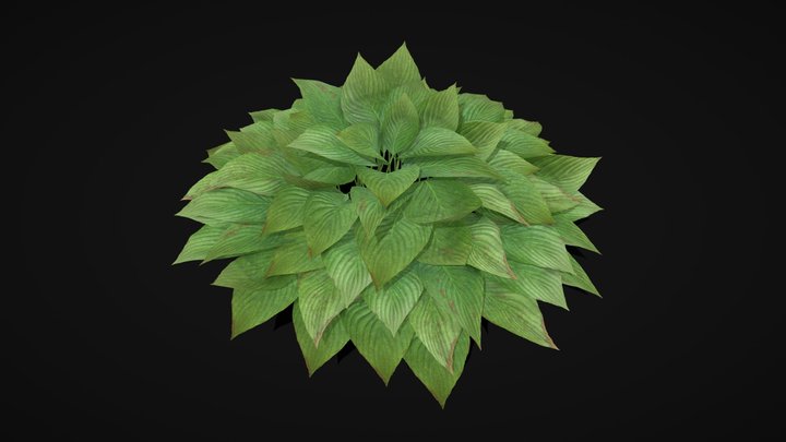 Bush 3D models - Sketchfab