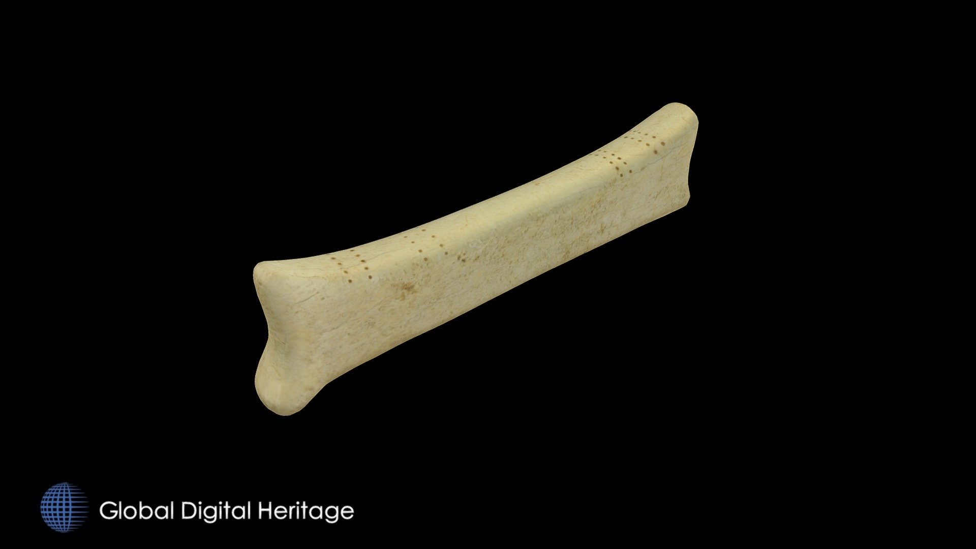 HL-103 Bone Labret, Hot Springs Village, Alaska - Download Free 3D ...