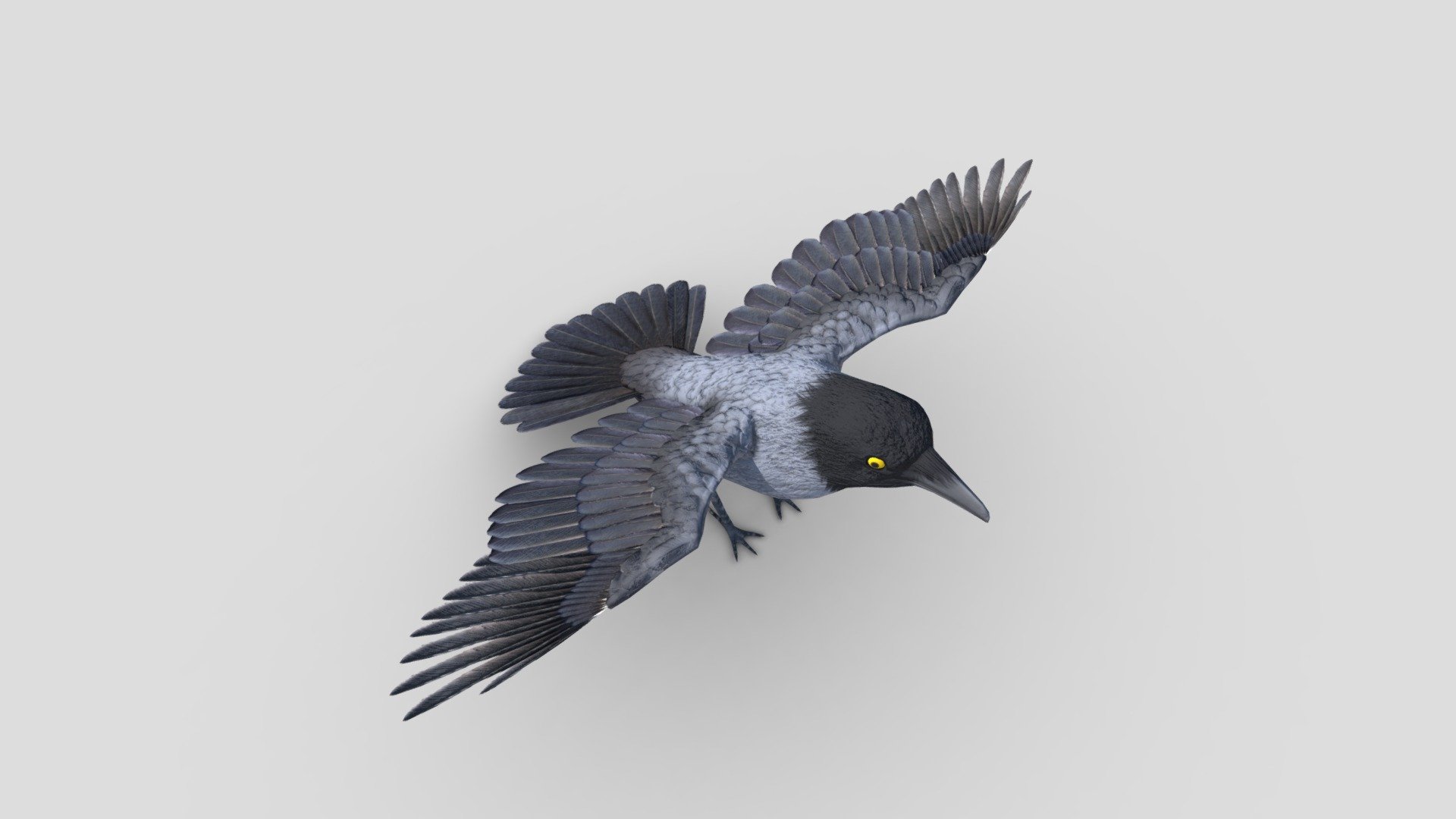 Crow - 3D model by Innowise: 2D/3D Design and Software Development ...