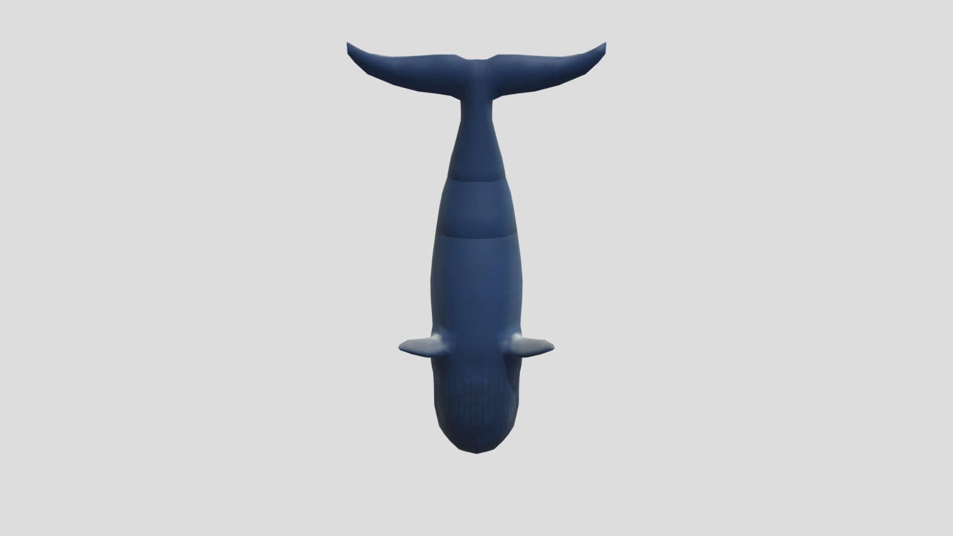 Ballena - Download Free 3D model by andreysouzanascimento692 [607f616 ...