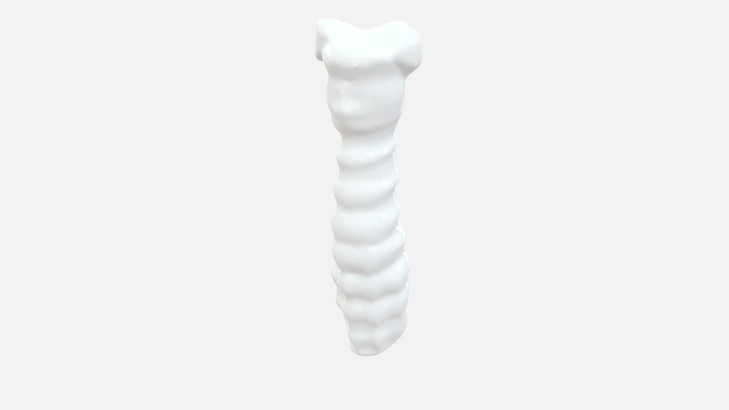 #12_ Wooden Cat , Screw - 3D model by SUNAKI Inc. (@tsnym) [6086d62 ...