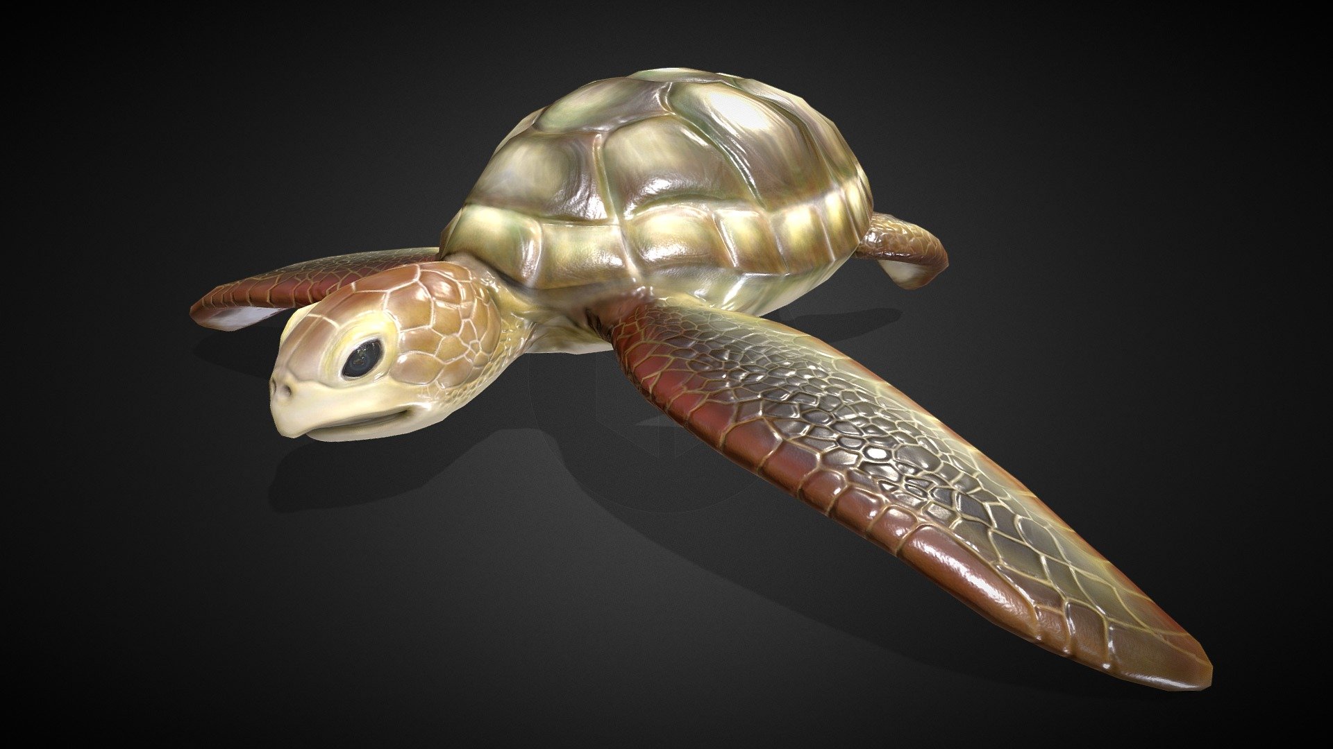 Sea Turtle - 3D model by Vishal Kumar (@vkjerry4) [608b4b0] - Sketchfab