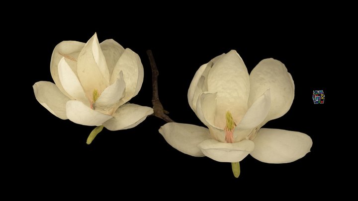 Cc0 3D models - Sketchfab
