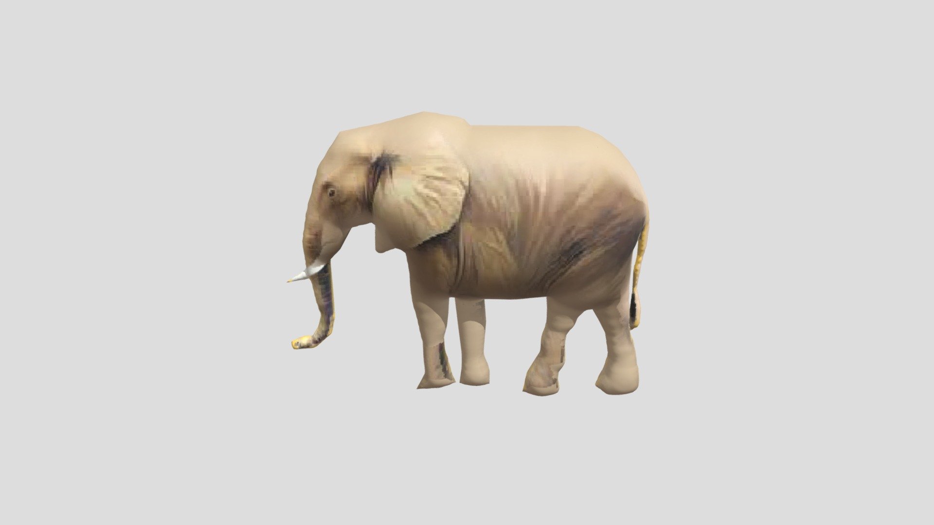 Hewan Gajah - 3D model by fridafebri8 [6092ffc] - Sketchfab