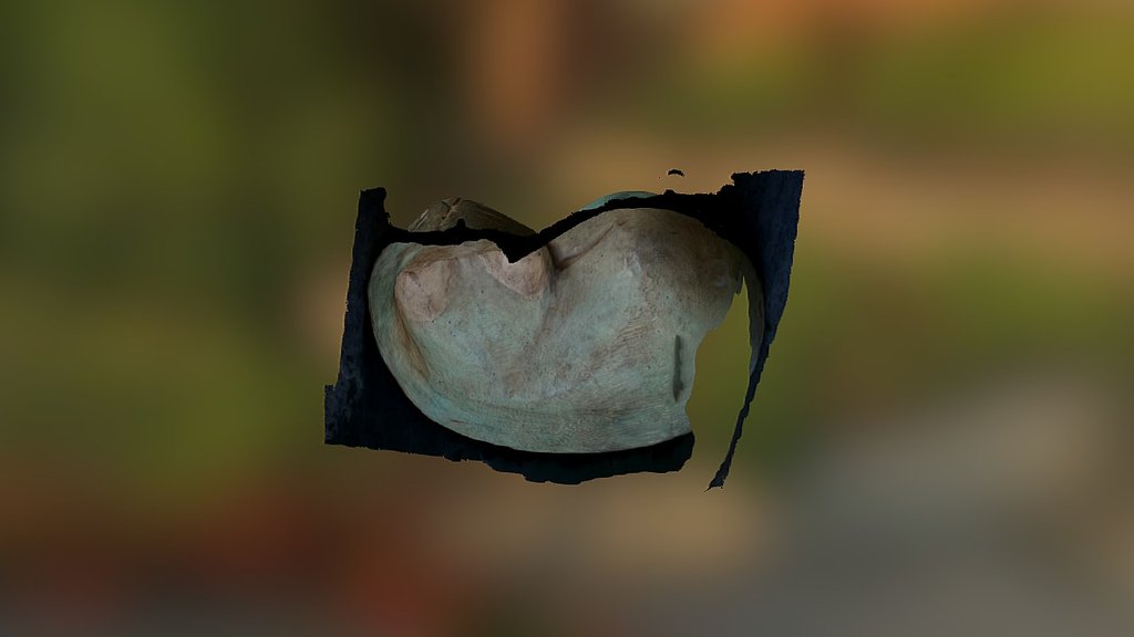 Cat - 3D model by plasseau [60a3081] - Sketchfab