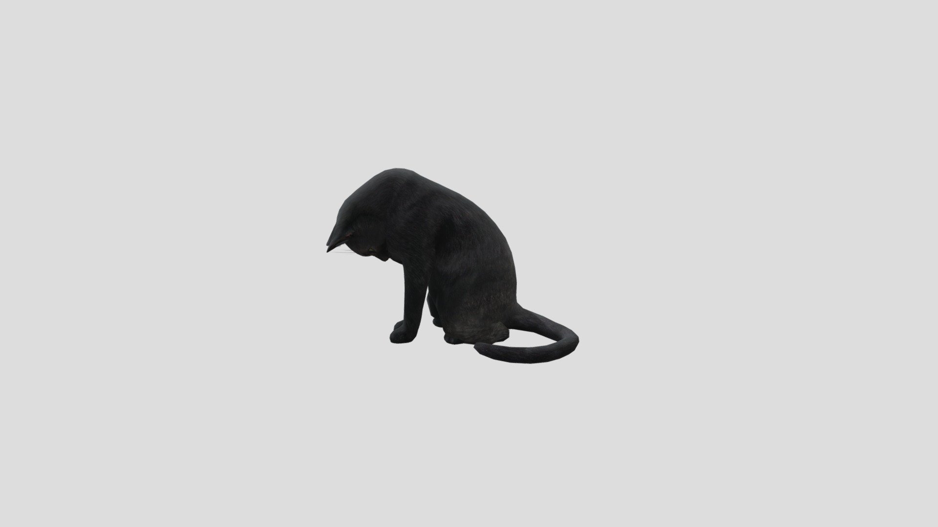 an_animated_cat - 3D model by 4087302311 [60abf4a] - Sketchfab