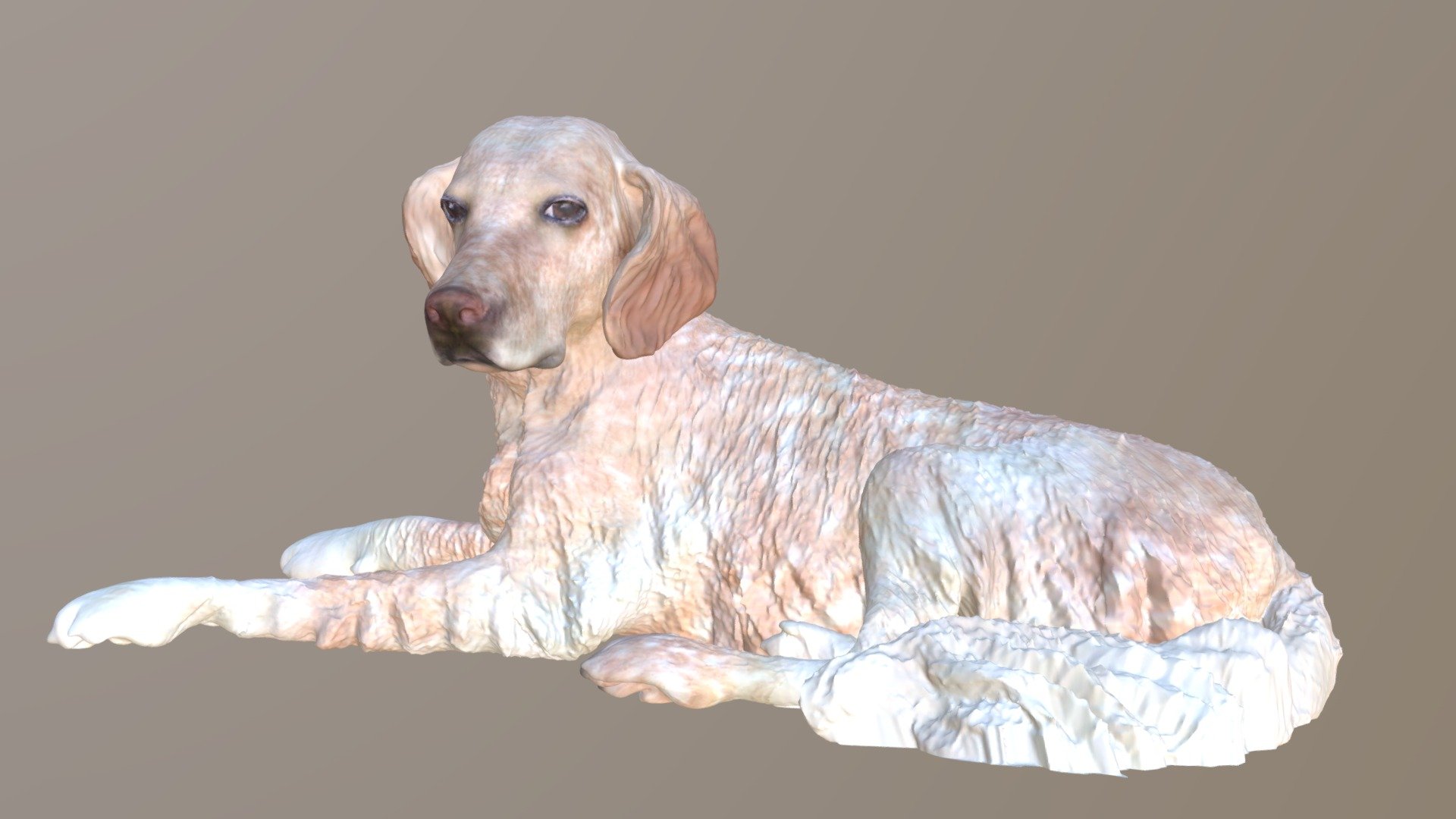 1902000- Bella - English Setter - 3D model by Arty Lobster - Pet ...