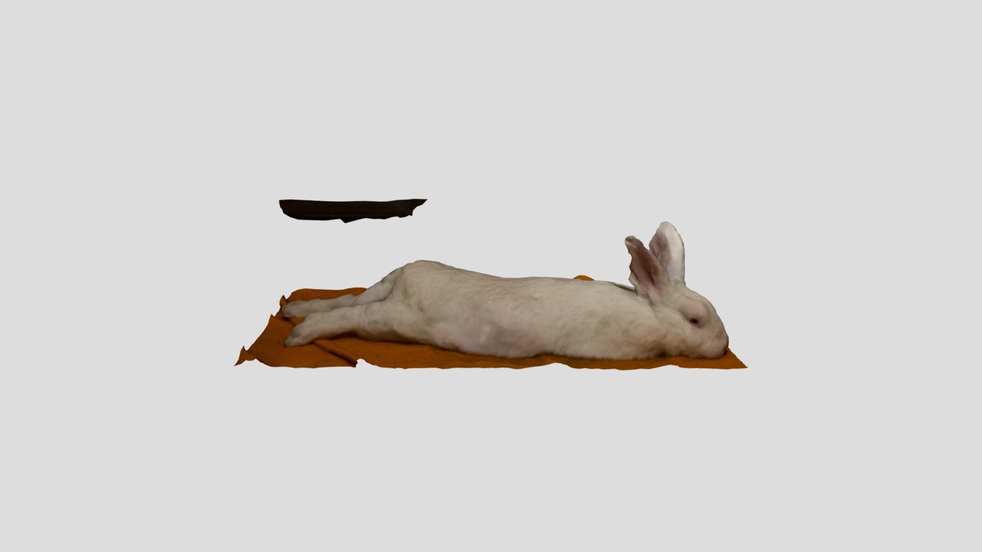 Sleepy bunny - Download Free 3D model by thequartermexican [60ae0dc ...