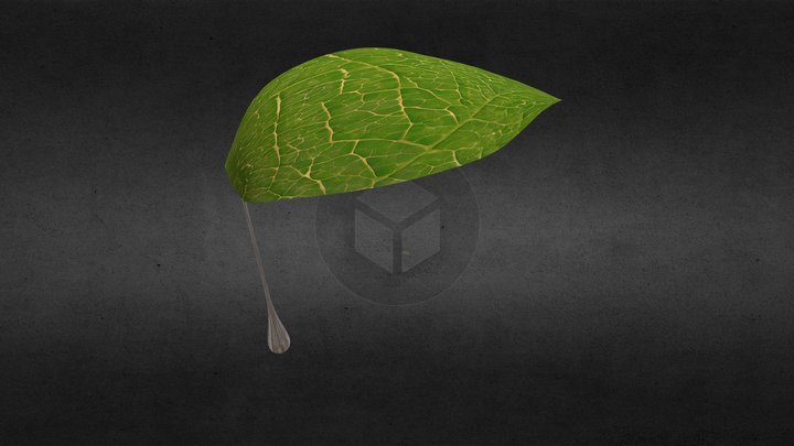Obeto 3D models - Sketchfab