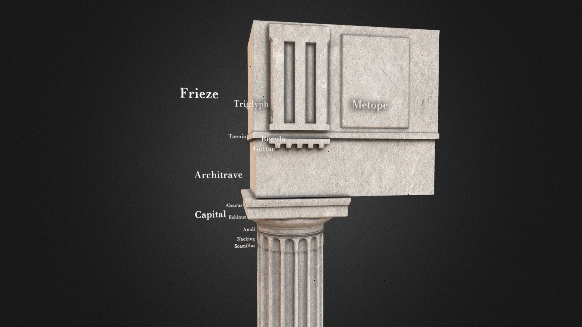 Anatomy of the classical column - Buy Royalty Free 3D model by Samuel ...