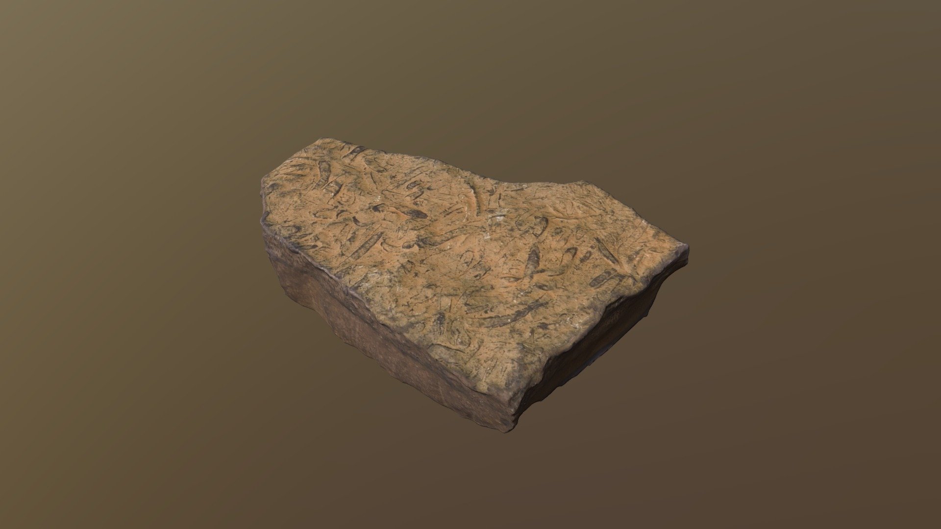 Cloudina hartmannae y Cloudina riemkeae - 3D model by Laboratorio de ...