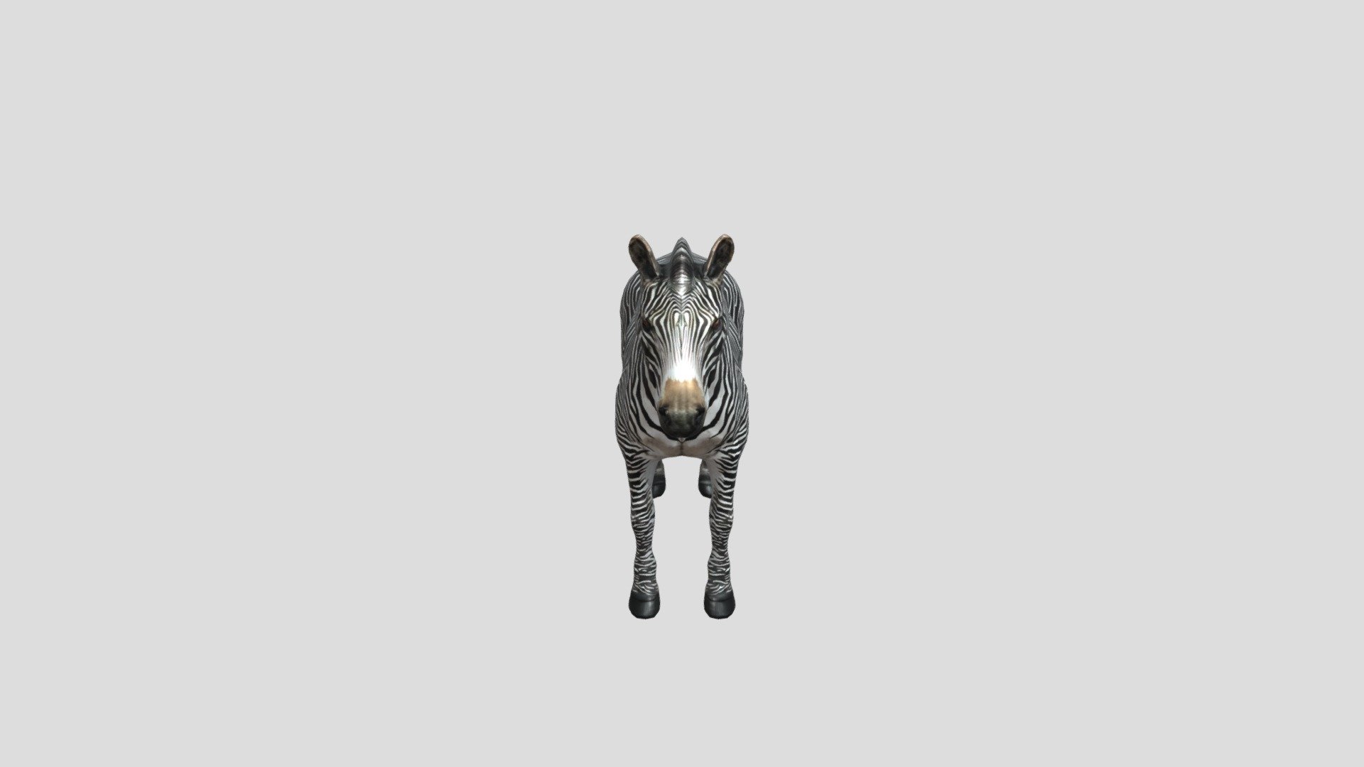 Zebra - Download Free 3D model by hendrikReyneke [60c2a1b] - Sketchfab