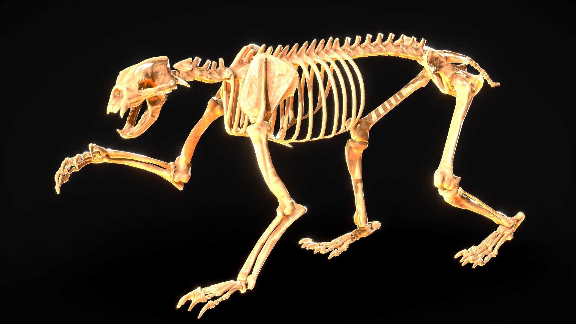 Realistic Mammals Fossil - Short Faced Bear - Buy Royalty Free 3D model ...