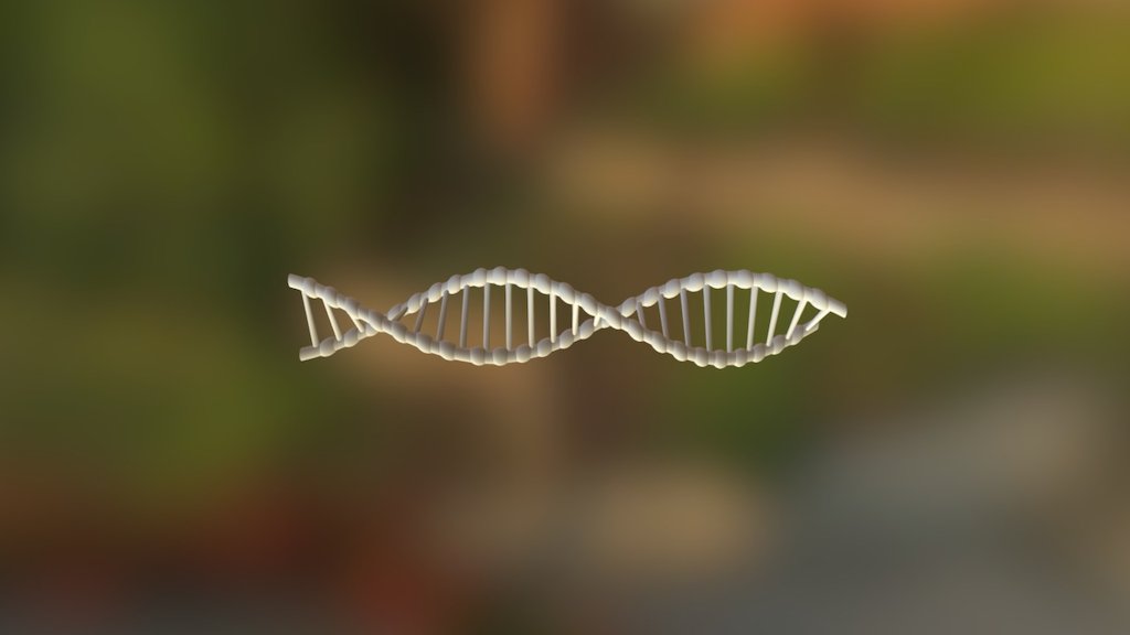 DNA Model for Biology Class - 3D model by SolarSmelter [60c87e1 ...