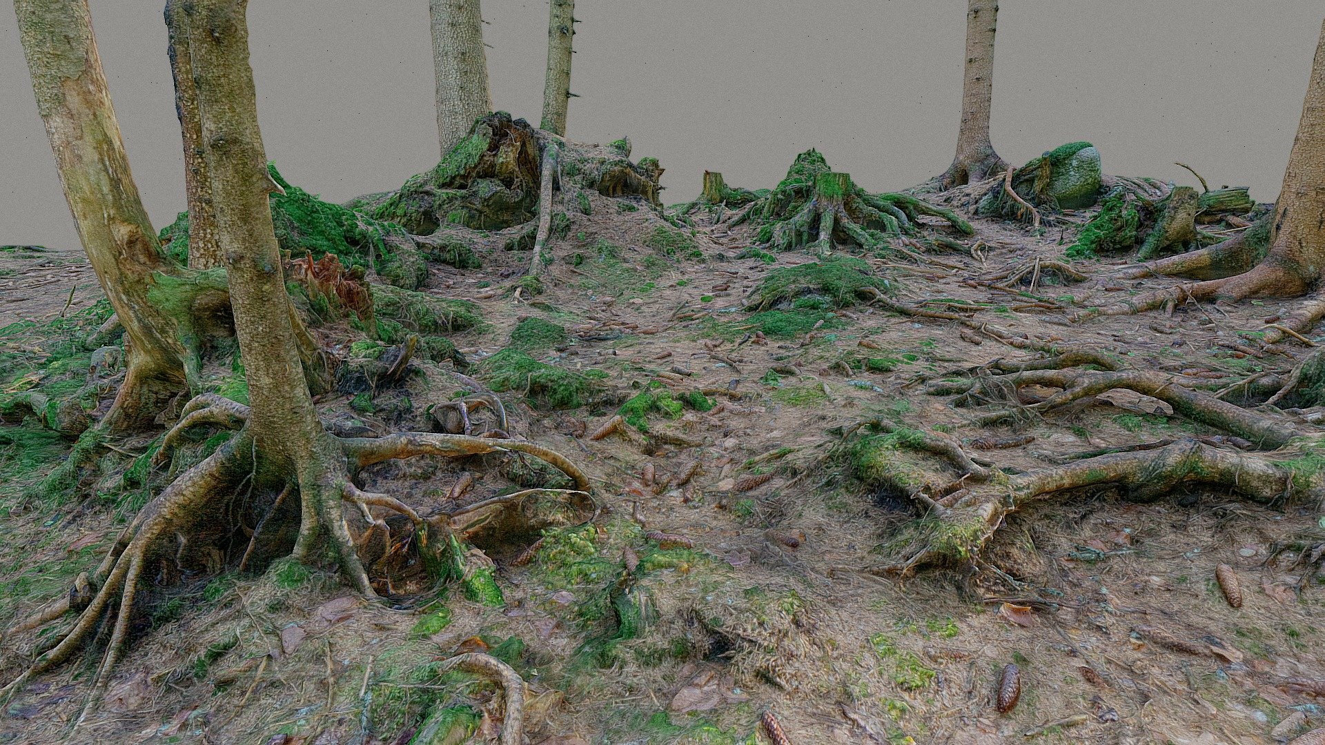 Glade of dead trees with roots - 3D model by archiwum_xyz [60caa4a ...