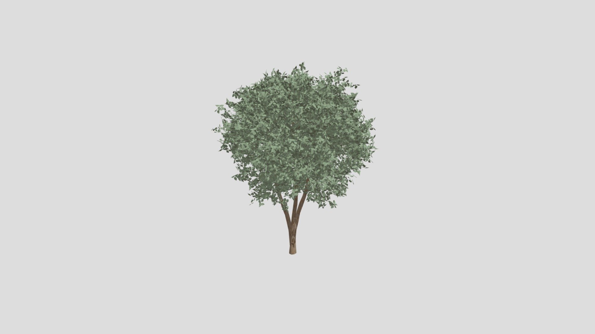 Pohon - Download Free 3D model by praktikumgkv2022 [60cee0b] - Sketchfab