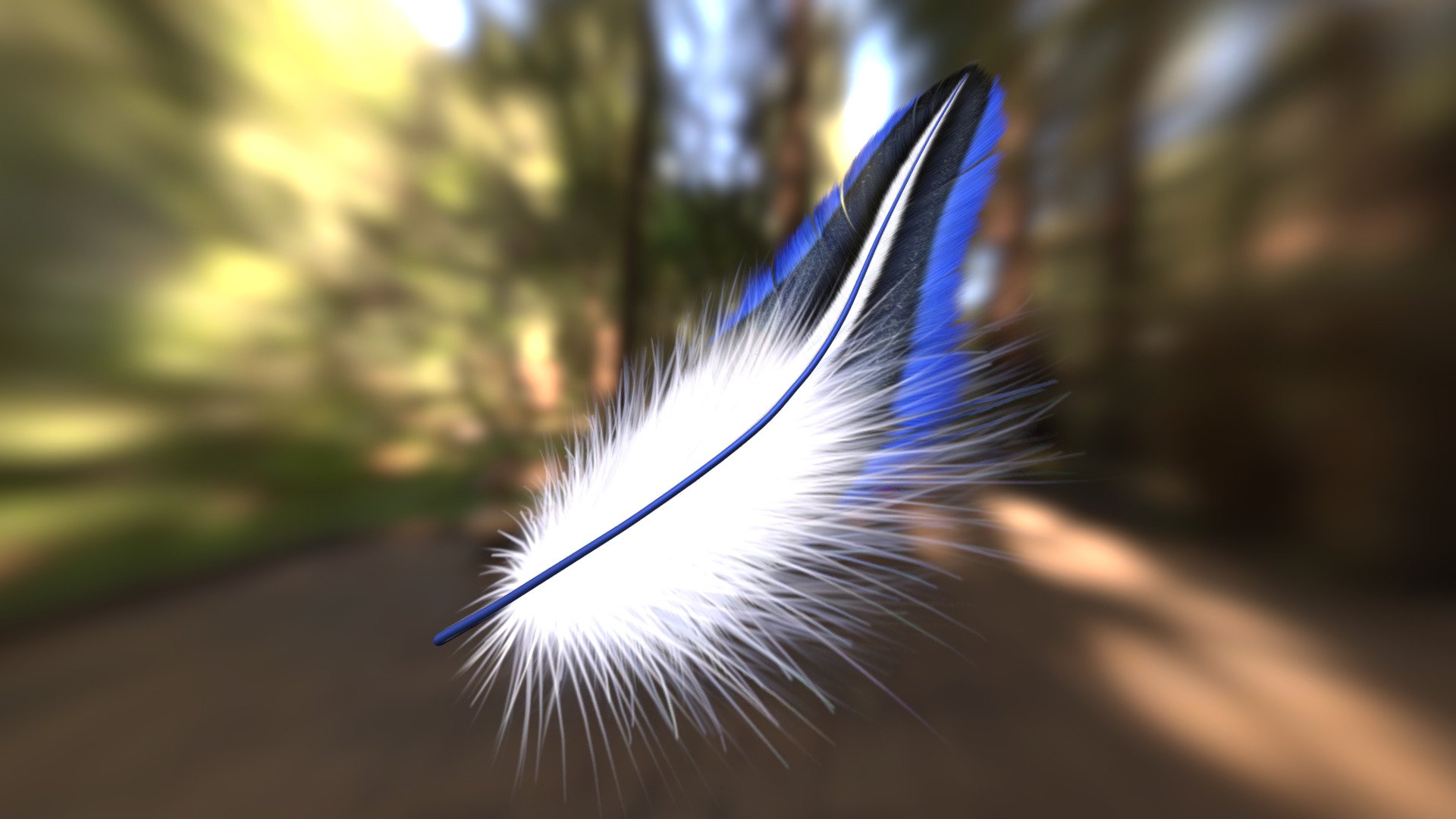 feather 3d colourful free - Download Free 3D model by vmmaniac [60d742e ...