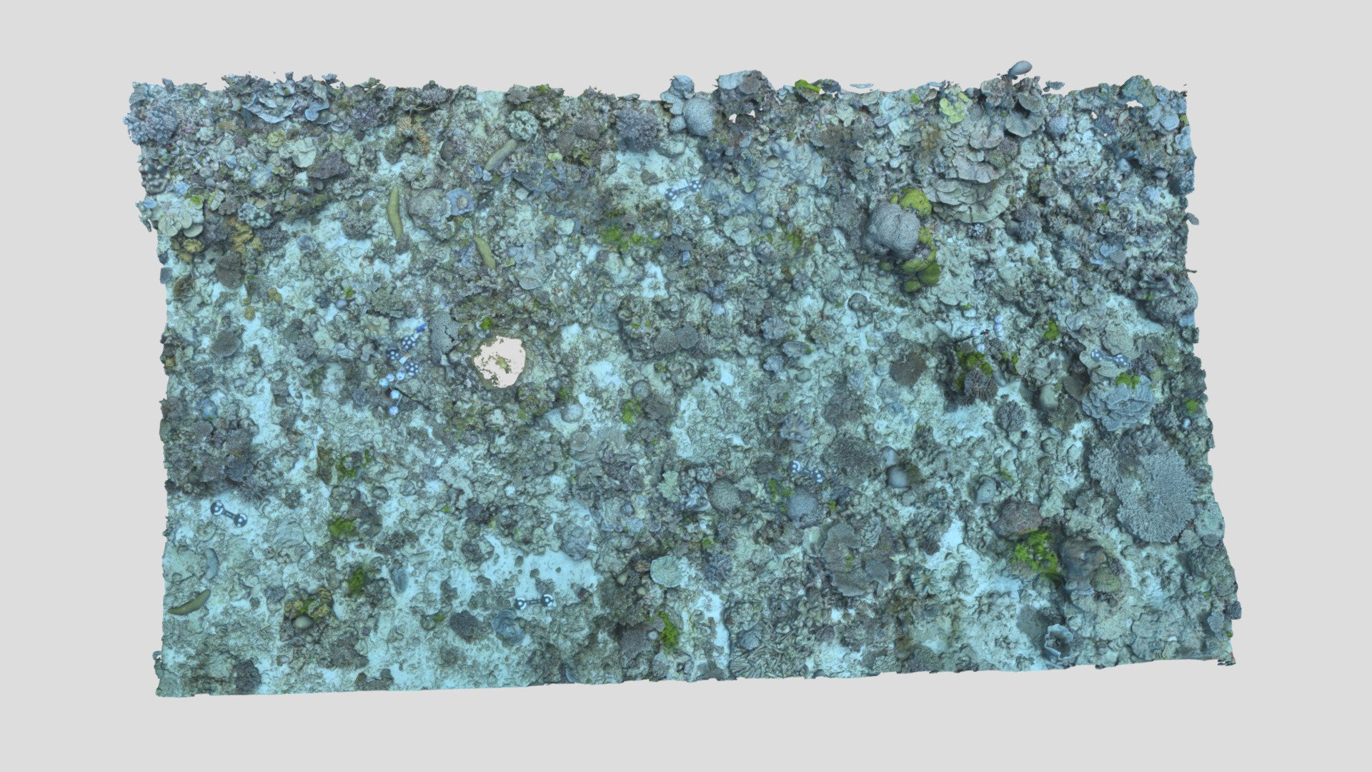 Heron_FR1D_P2_202105 - Download Free 3D model by EcoRRAP (@AIMSEcoRRAP ...