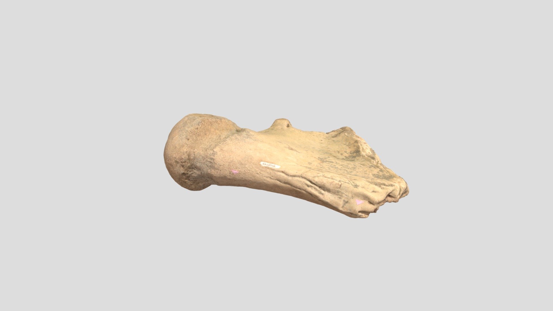 CZI-P053 - 3D model by julianchis2001 [60dee5a] - Sketchfab