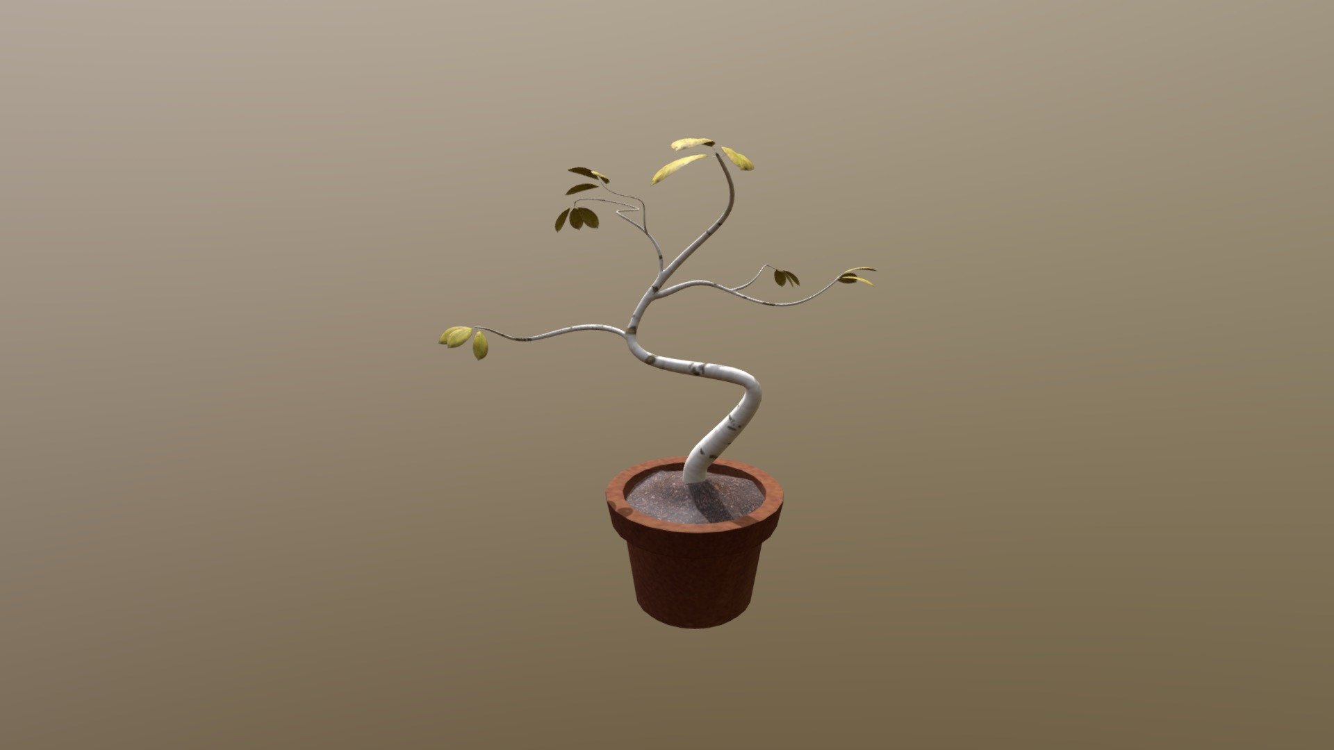 Plant Project - 3D model by CGilpin [60defc8] - Sketchfab