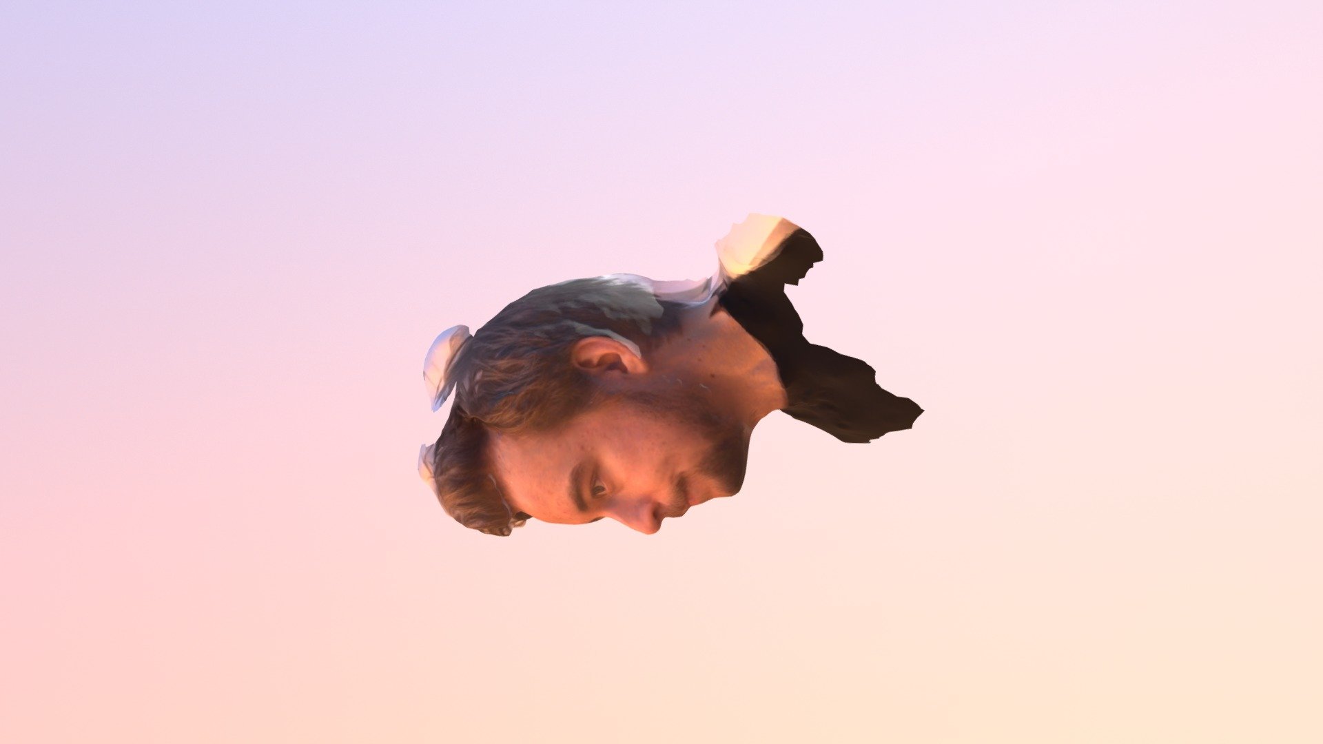 Emils face - Download Free 3D model by Swipp [60e3ee0] - Sketchfab