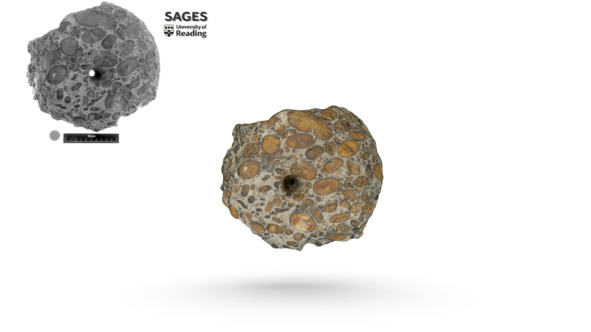 Hertfordshire Puddingstone - 3D model by University of Reading ...