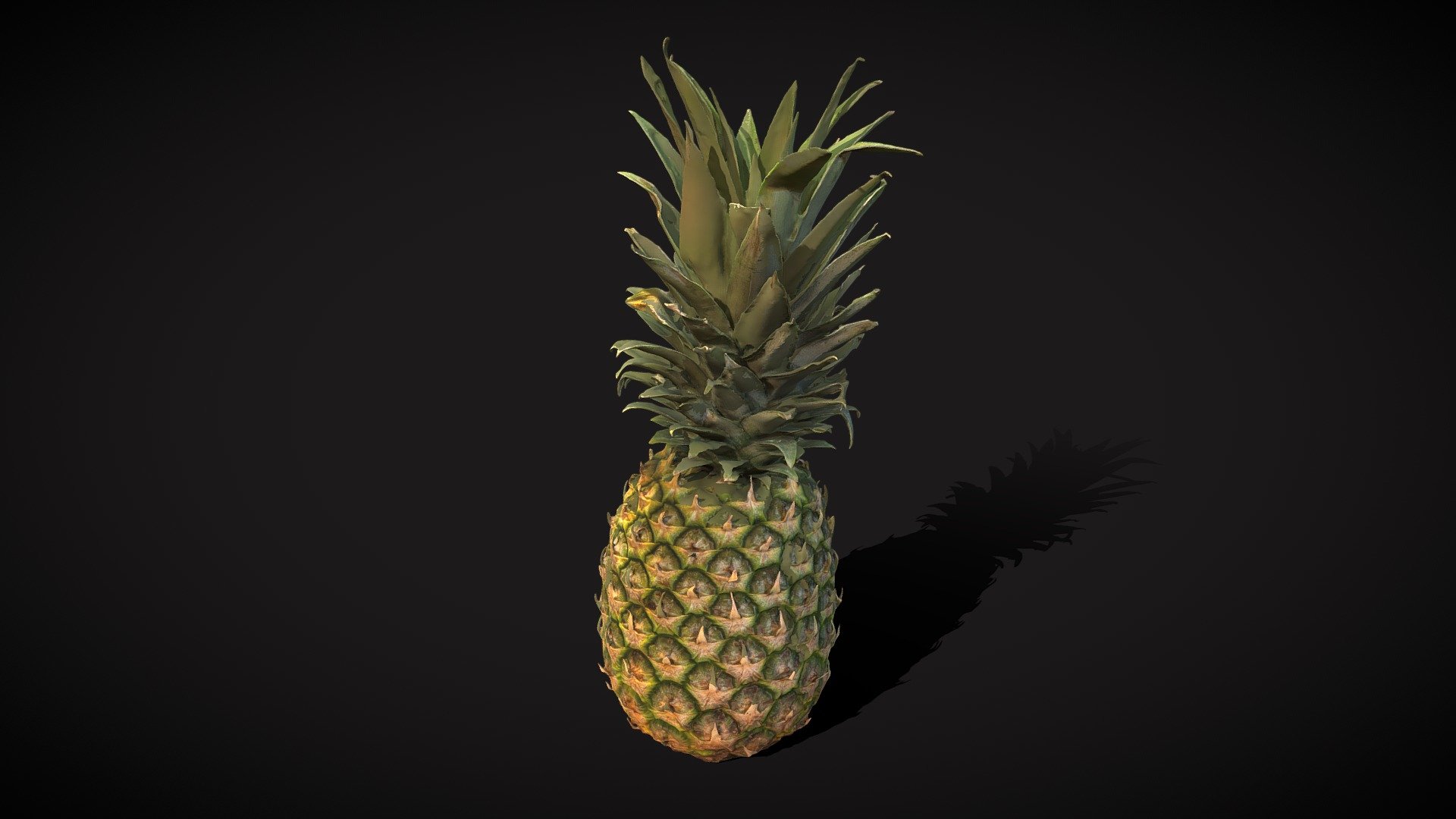 Pineapple Model DSLR - Download Free 3D model by sonnycirasuolo ...