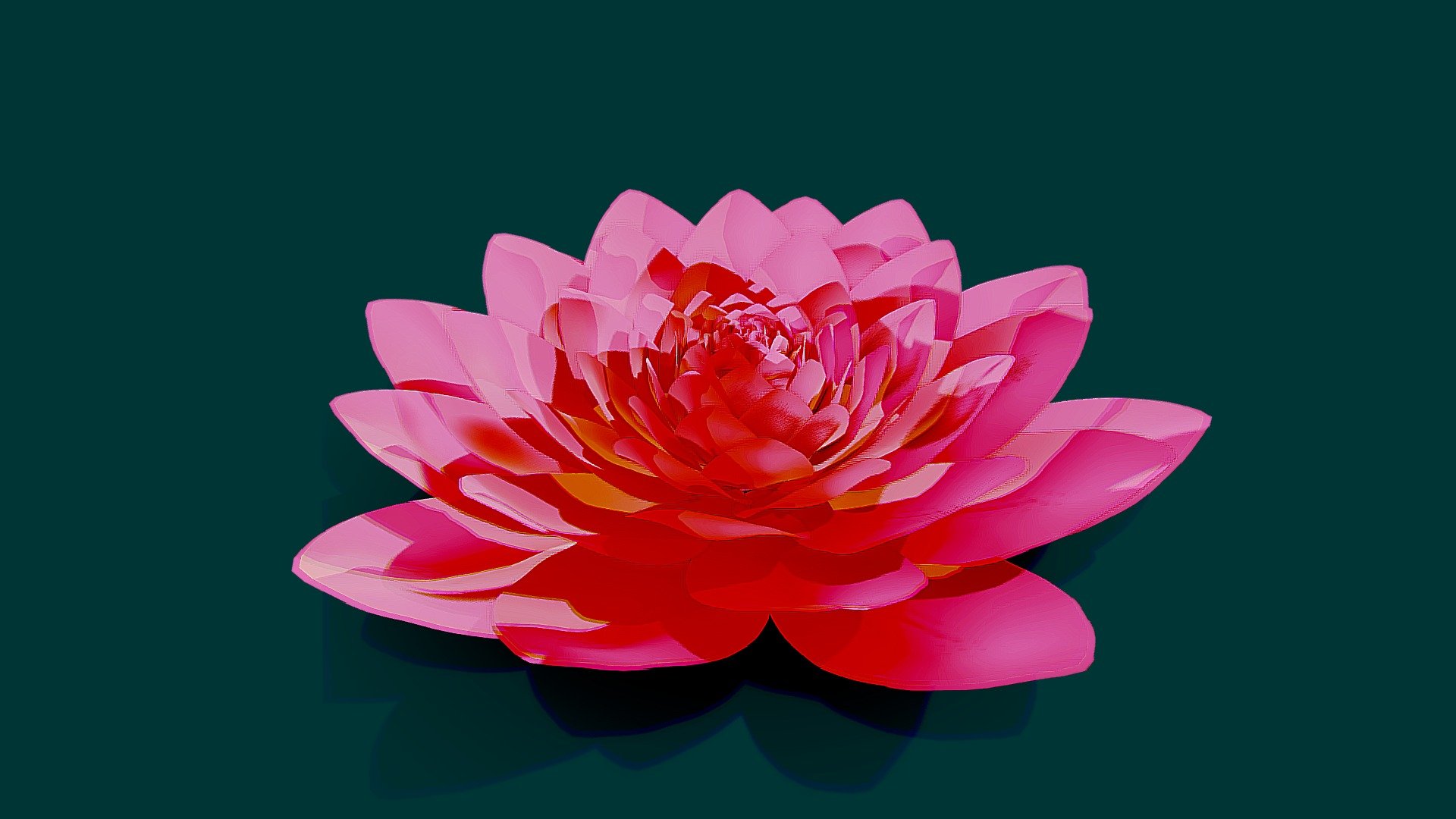 Flower Blooming - 3D model by Virtua Con (@virtuaCon) [6100168] - Sketchfab