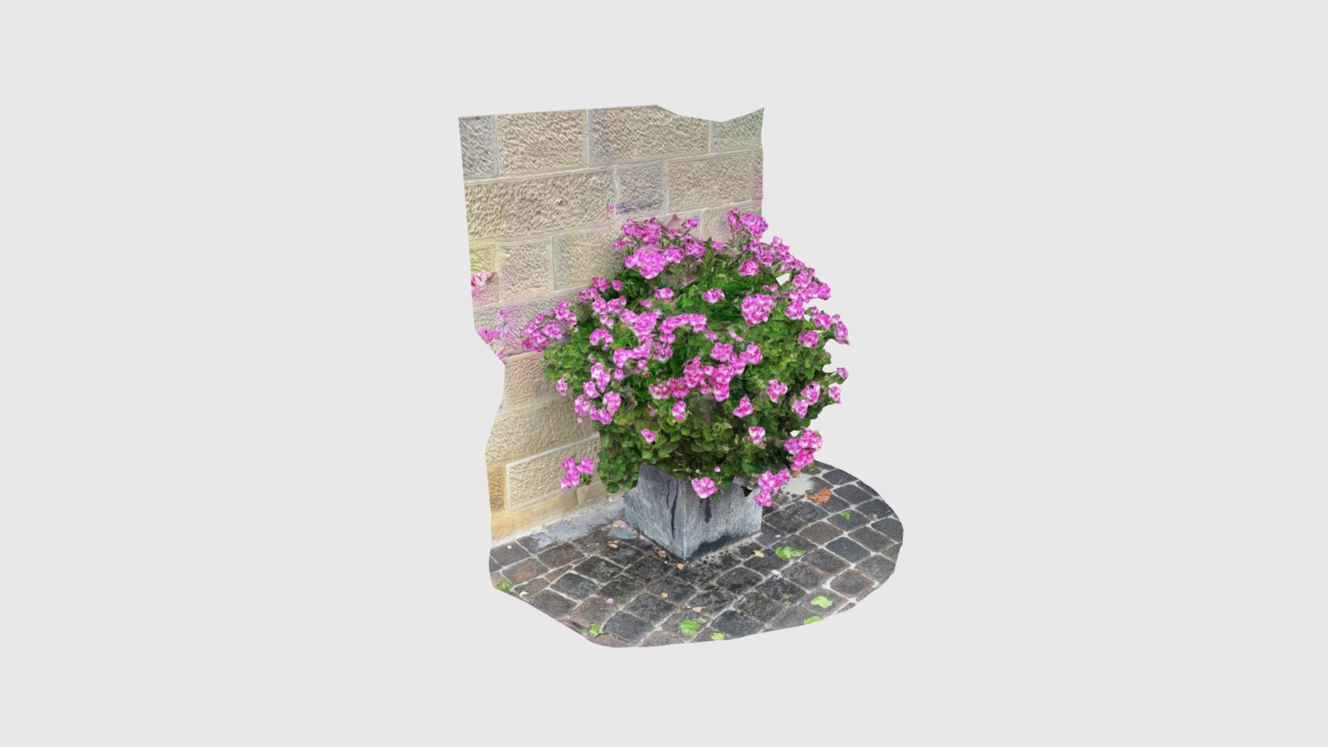 Flower pot - Download Free 3D model by macbeta1 [61001aa] - Sketchfab