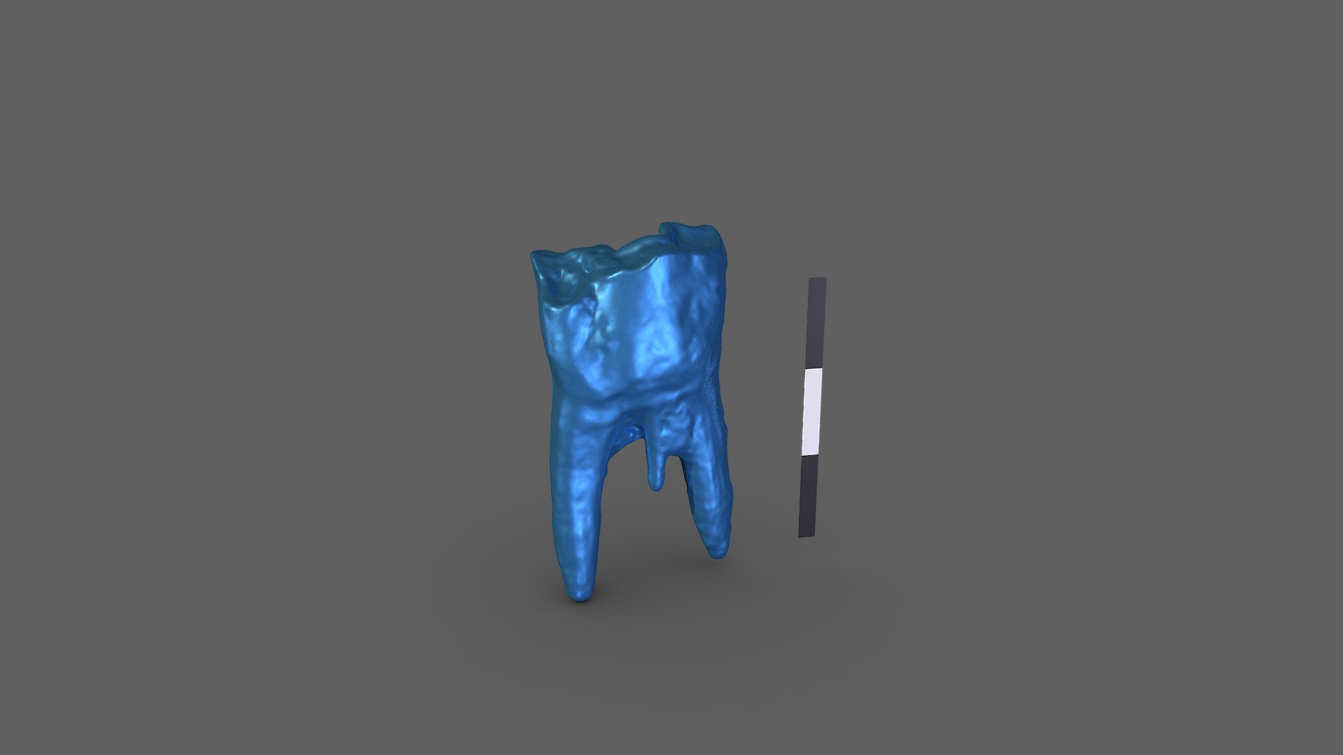 2023 Revopoint MINI SCAN animal tooth - 3D model by praehist3d [61009f3 ...