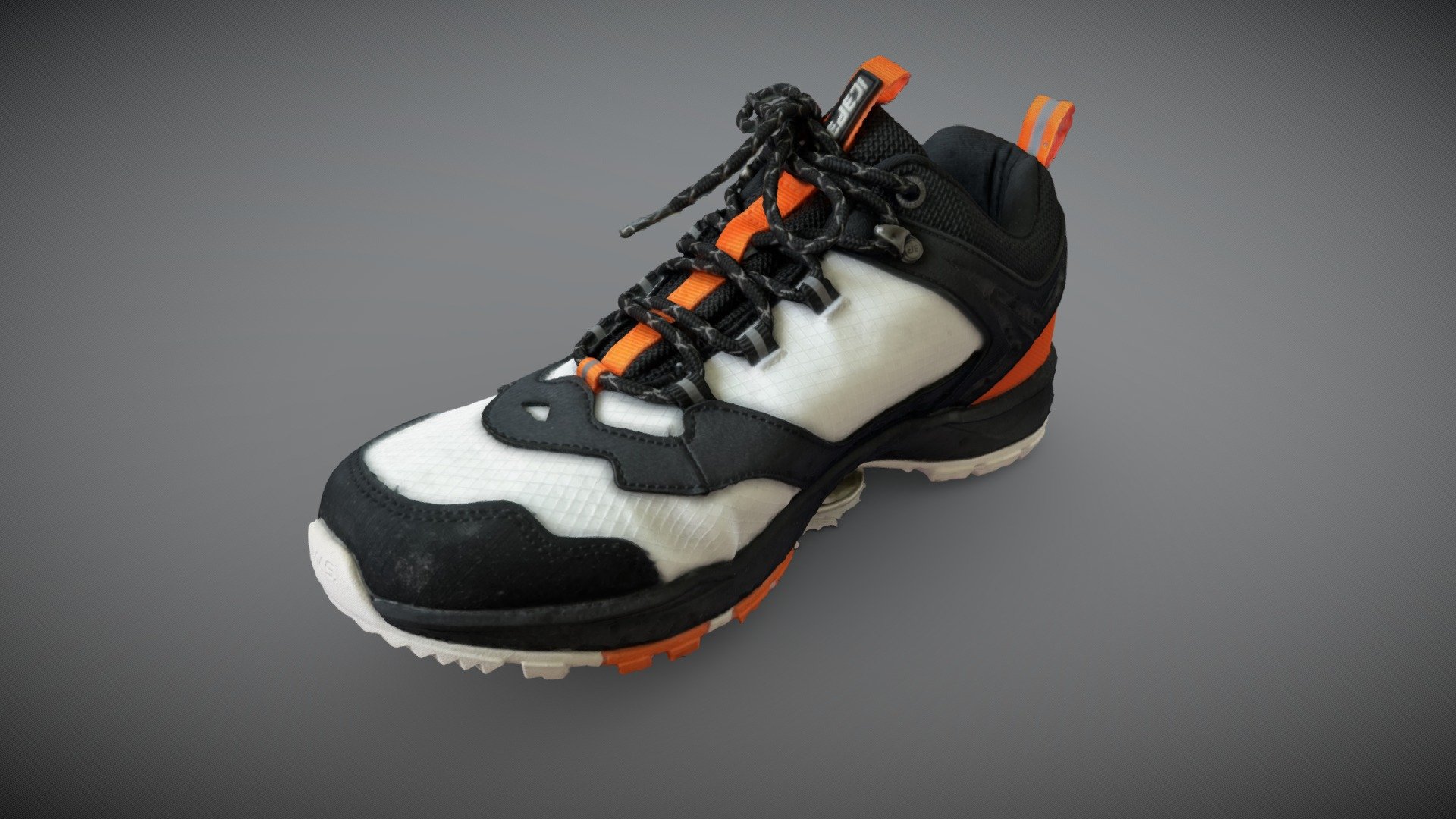 Icepeak Shoe. RealityScan raw scan - 3D model by TomTLC [610f698 ...