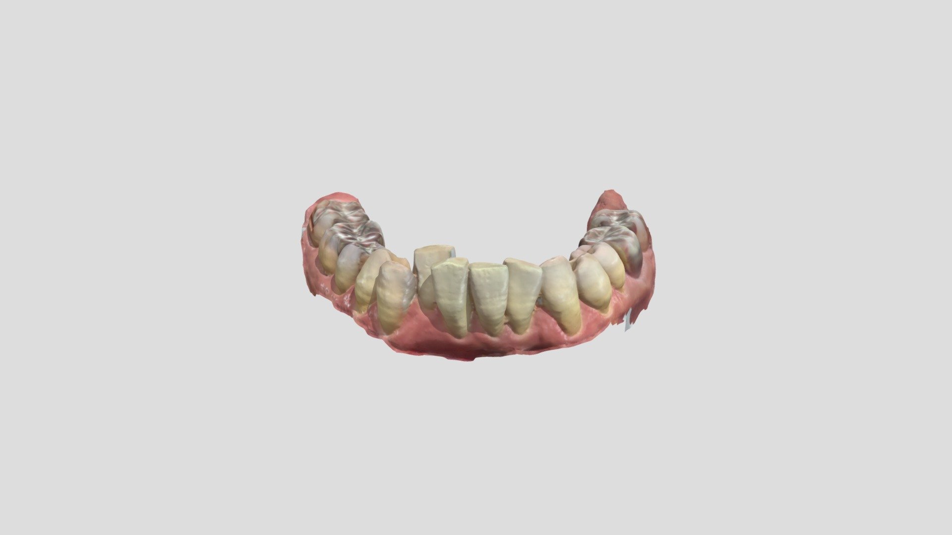 64927132_shell_teethup_l - 3D model by takano_hide [6110f1f] - Sketchfab