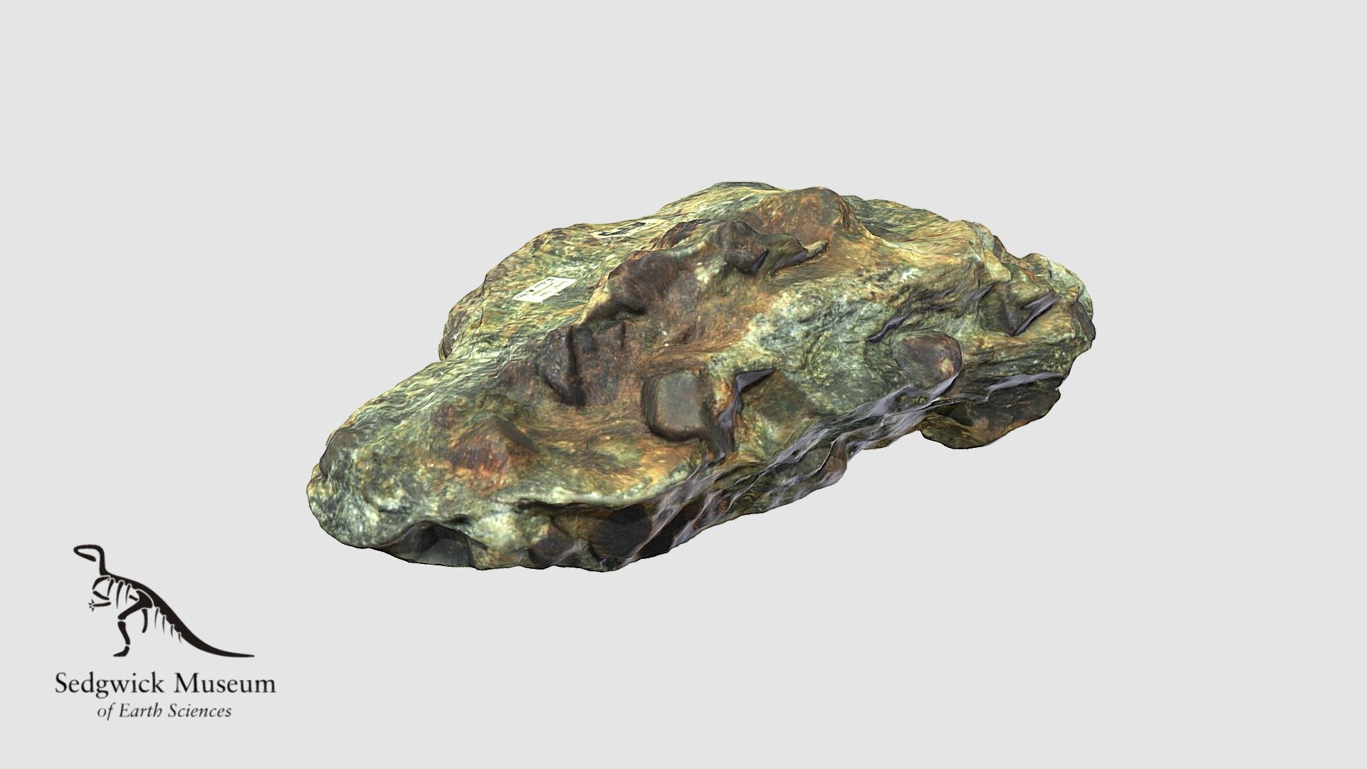 EduR70 Garnet Mica Schist - Download Free 3D model by Sedgwick Museum ...