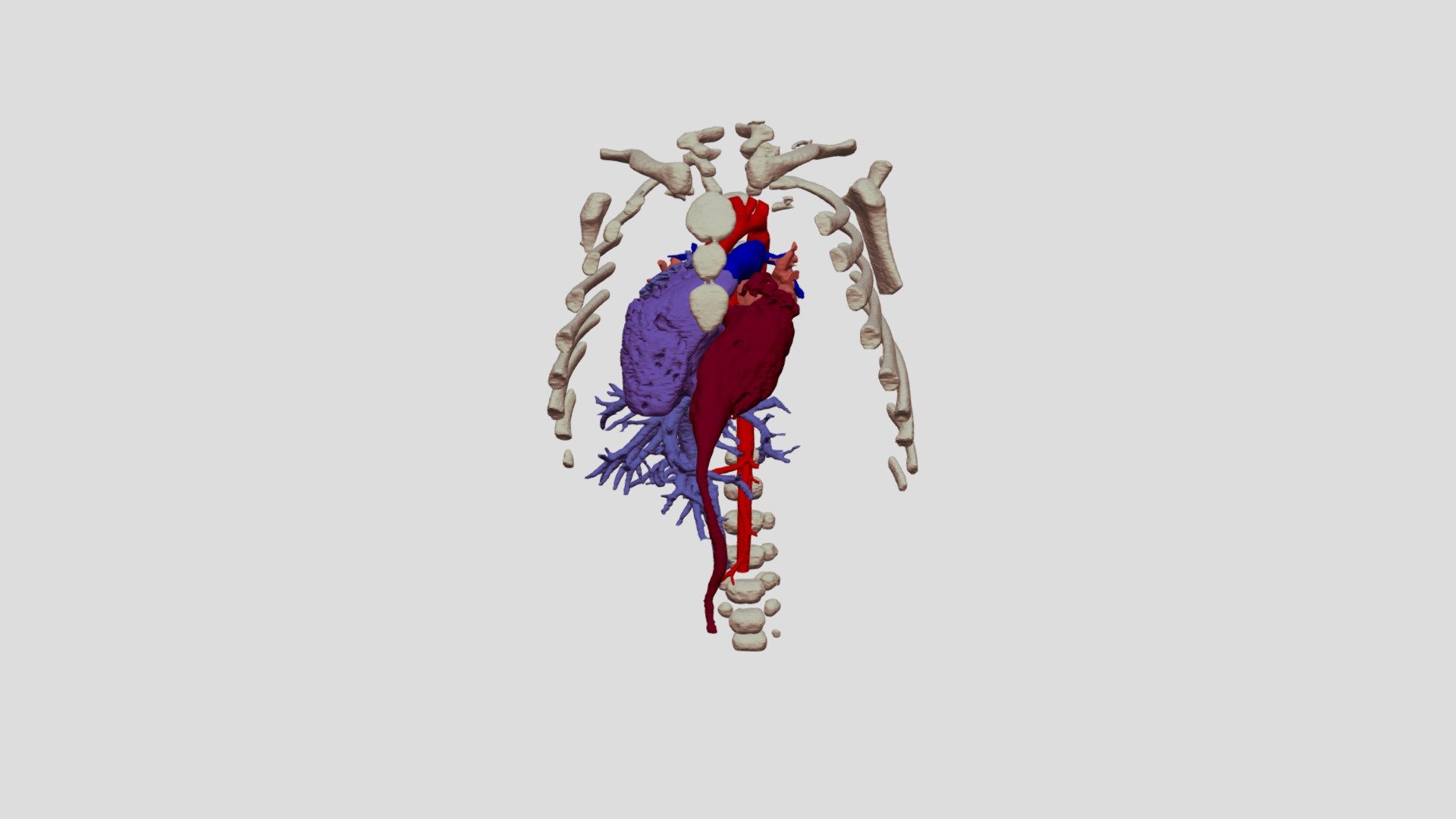 S0201 - 3D model by NCH Advanced Projects Laboratory (APL) [611f48f ...