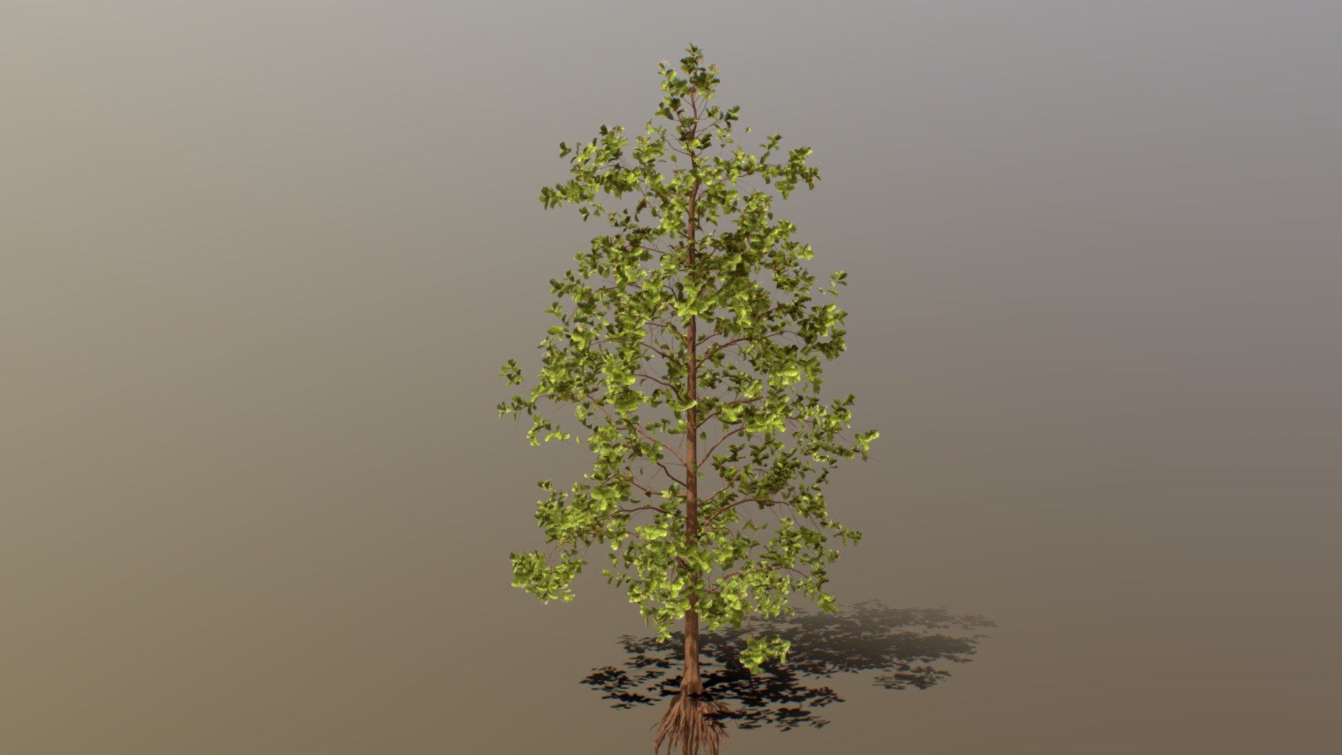 teak tree - 3D model by Nodeaxis Interactive (@ar.jethin) [61248d0] - Sketchfab