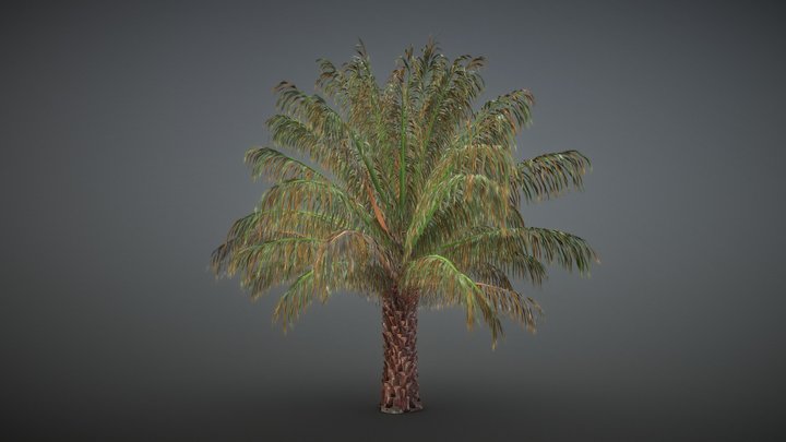 Pohon 3D models - Sketchfab