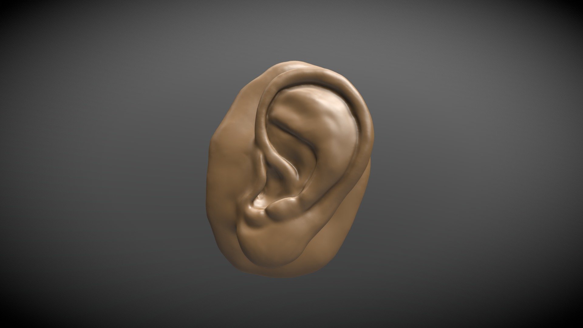 Ear - 3D model by Ulas_Yildiz (@neutrino34) [61310ec] - Sketchfab
