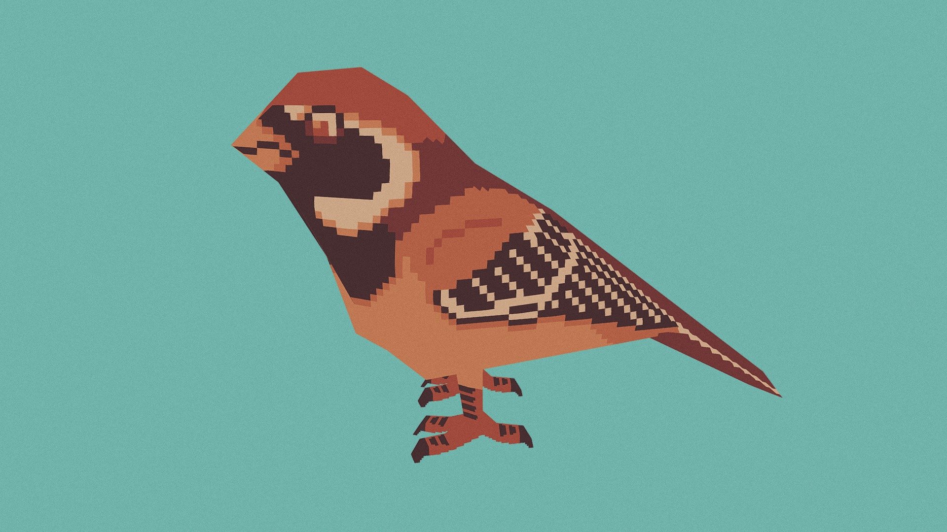 Sparrow - 3D model by BetelgeuseMan [613d102] - Sketchfab
