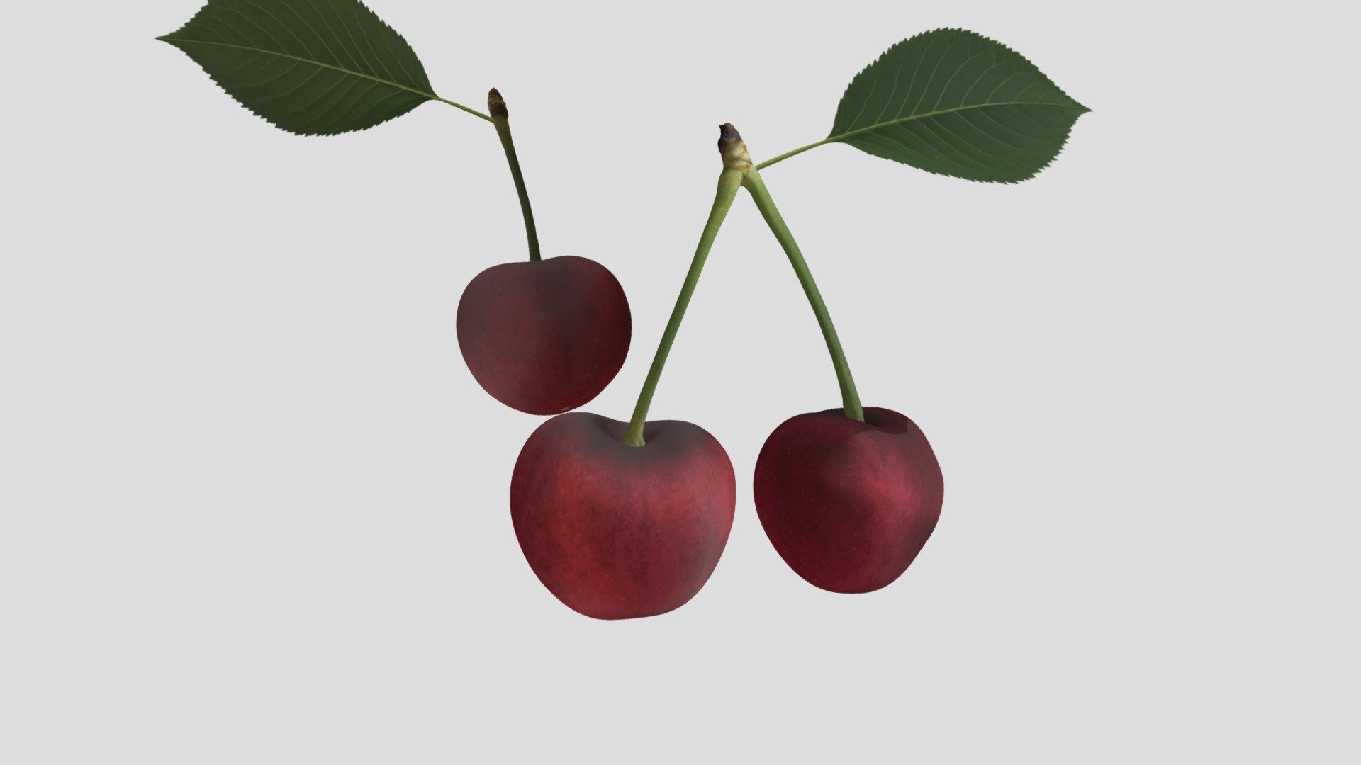cherry - Download Free 3D model by 3Dji [6142924] - Sketchfab