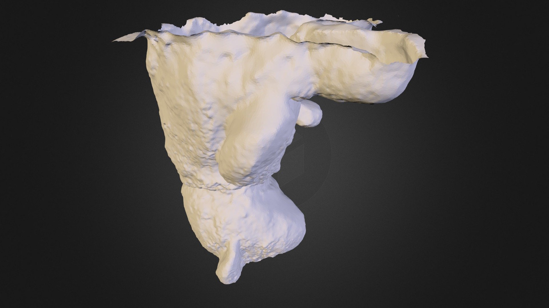 snowy - 3D model by drchrisasmith [6152d52] - Sketchfab