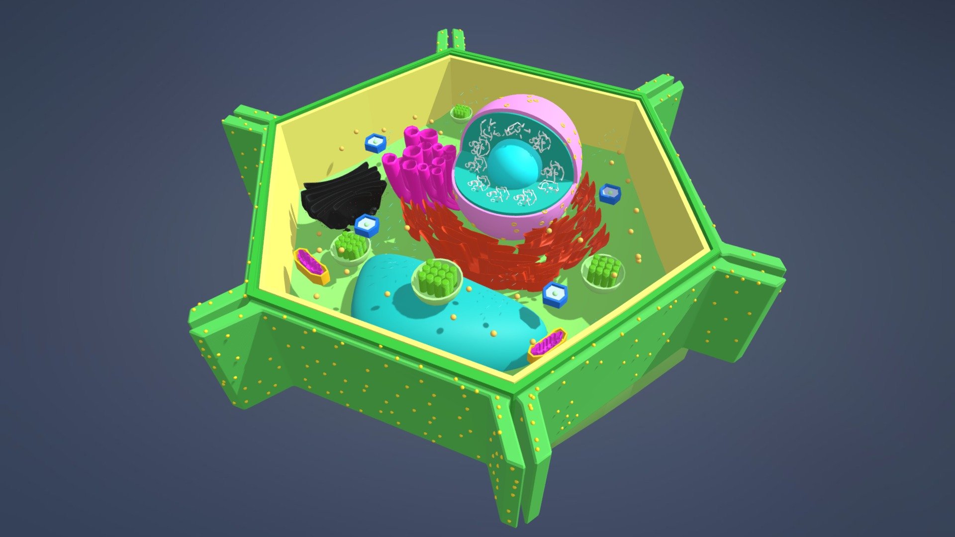 plant cell - 3D model by Aimphanpress [6154e85] - Sketchfab