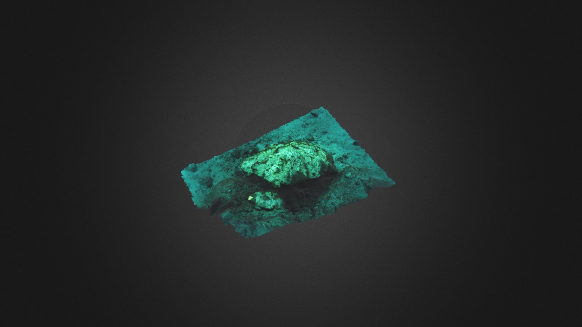 Coral #7 - Porites lobata - 3D model by Innoceana [61616cd] - Sketchfab