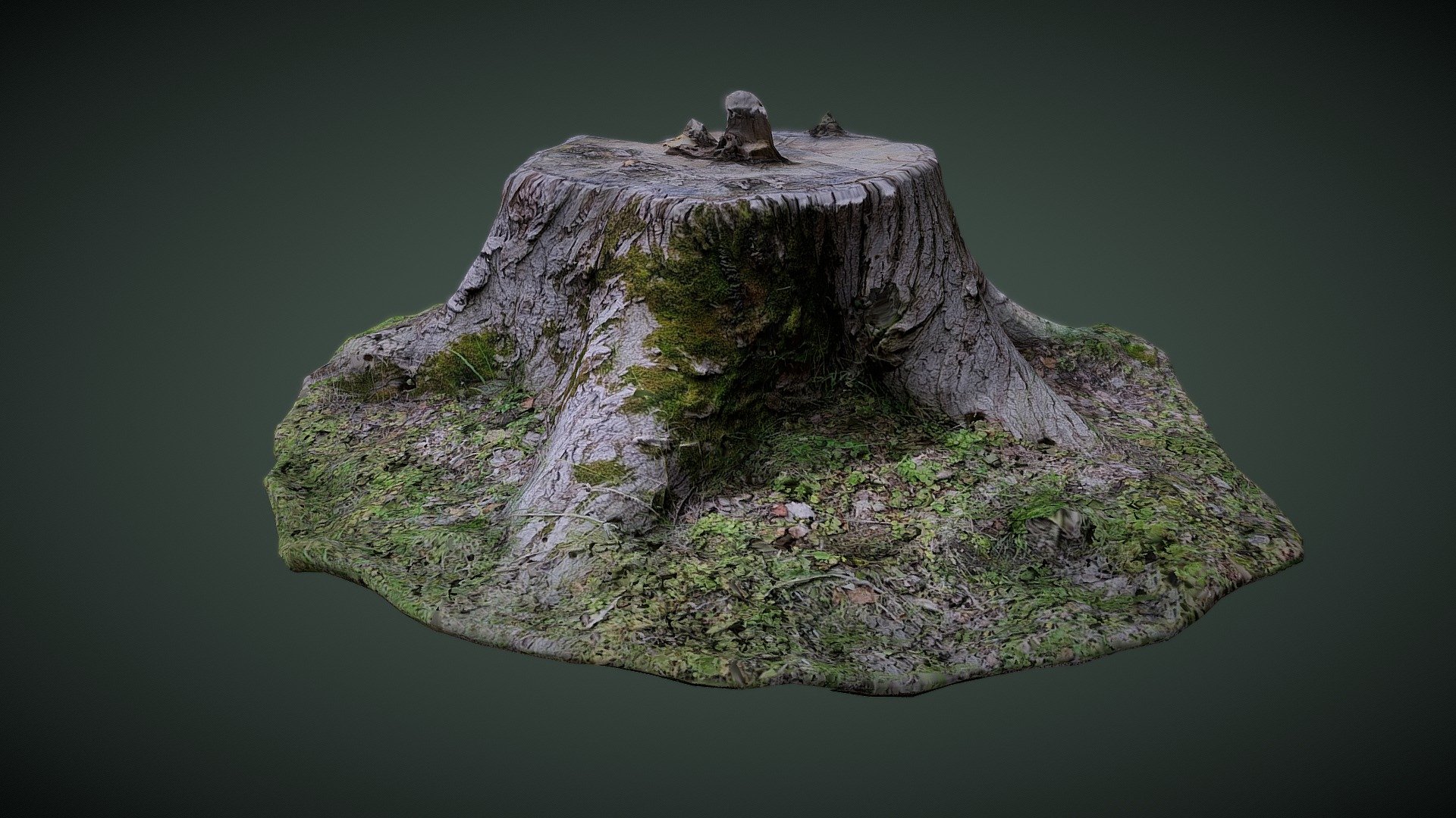 Forest stump - 3D model by Kirhl [61673da] - Sketchfab
