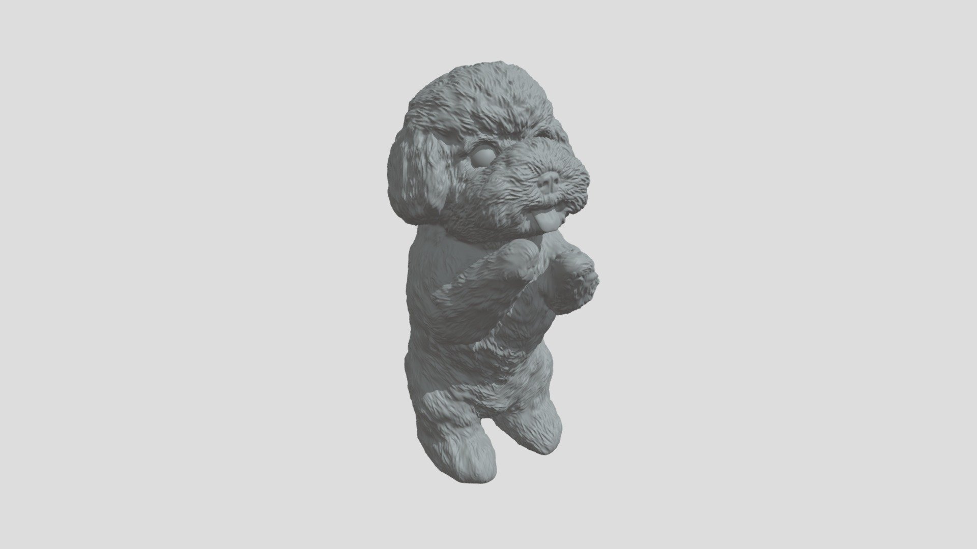 Toy Poodle - 3D model by JasonLi0306 [616a0c7] - Sketchfab
