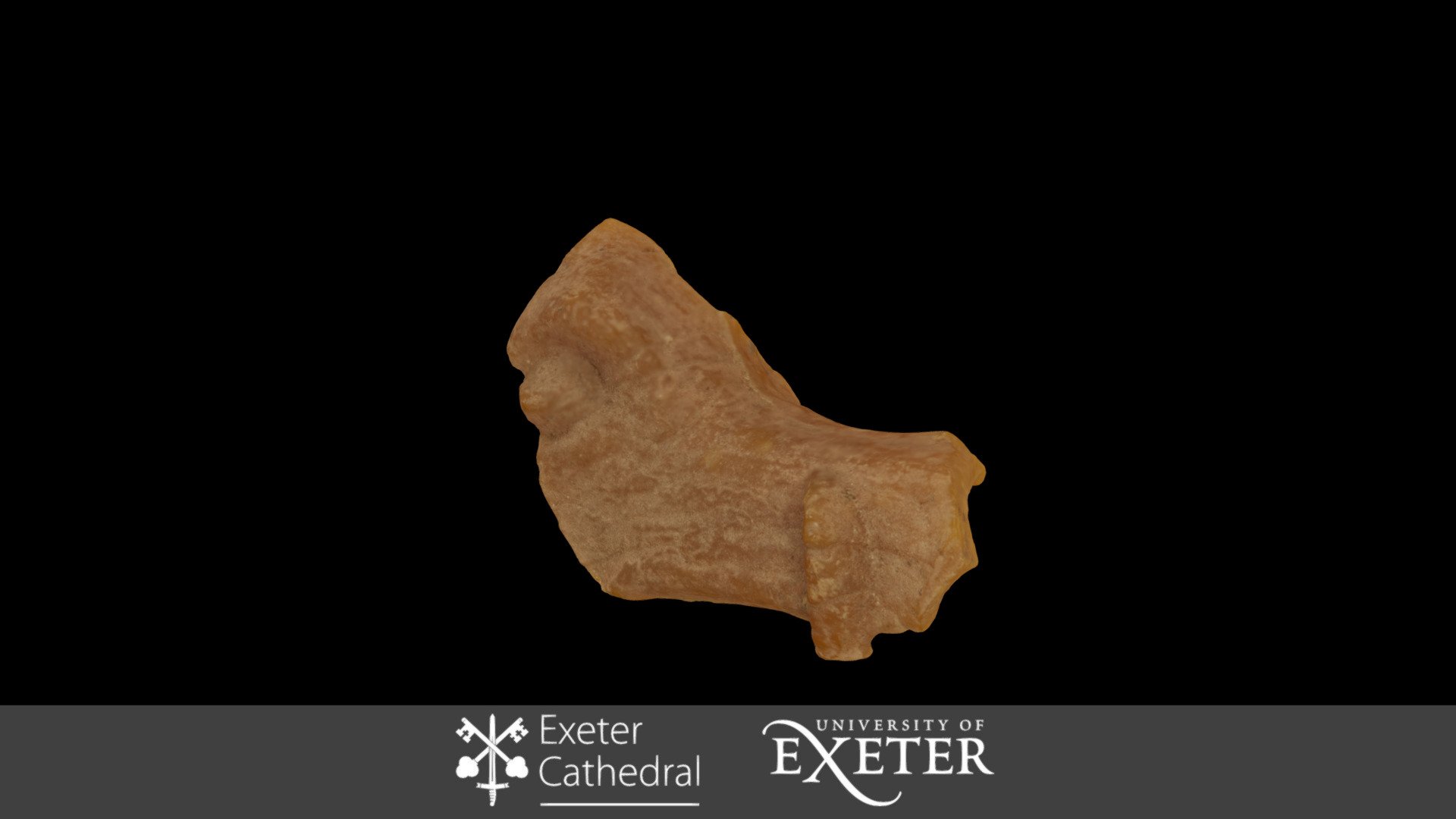 Wax Votive Boar from Exeter Cathedral - 3D model by Exeter Digital ...