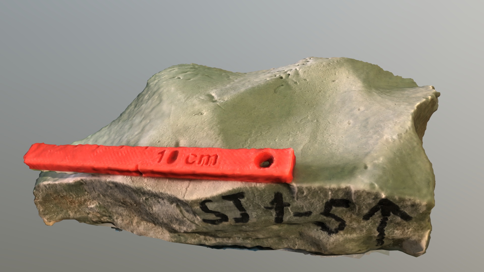 Devonian ripple marks - Download Free 3D model by AVZ ...